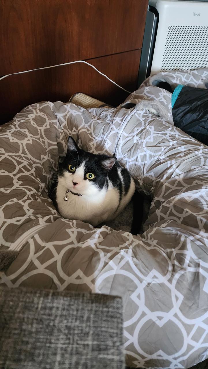 What's she thinking? | Scrolller