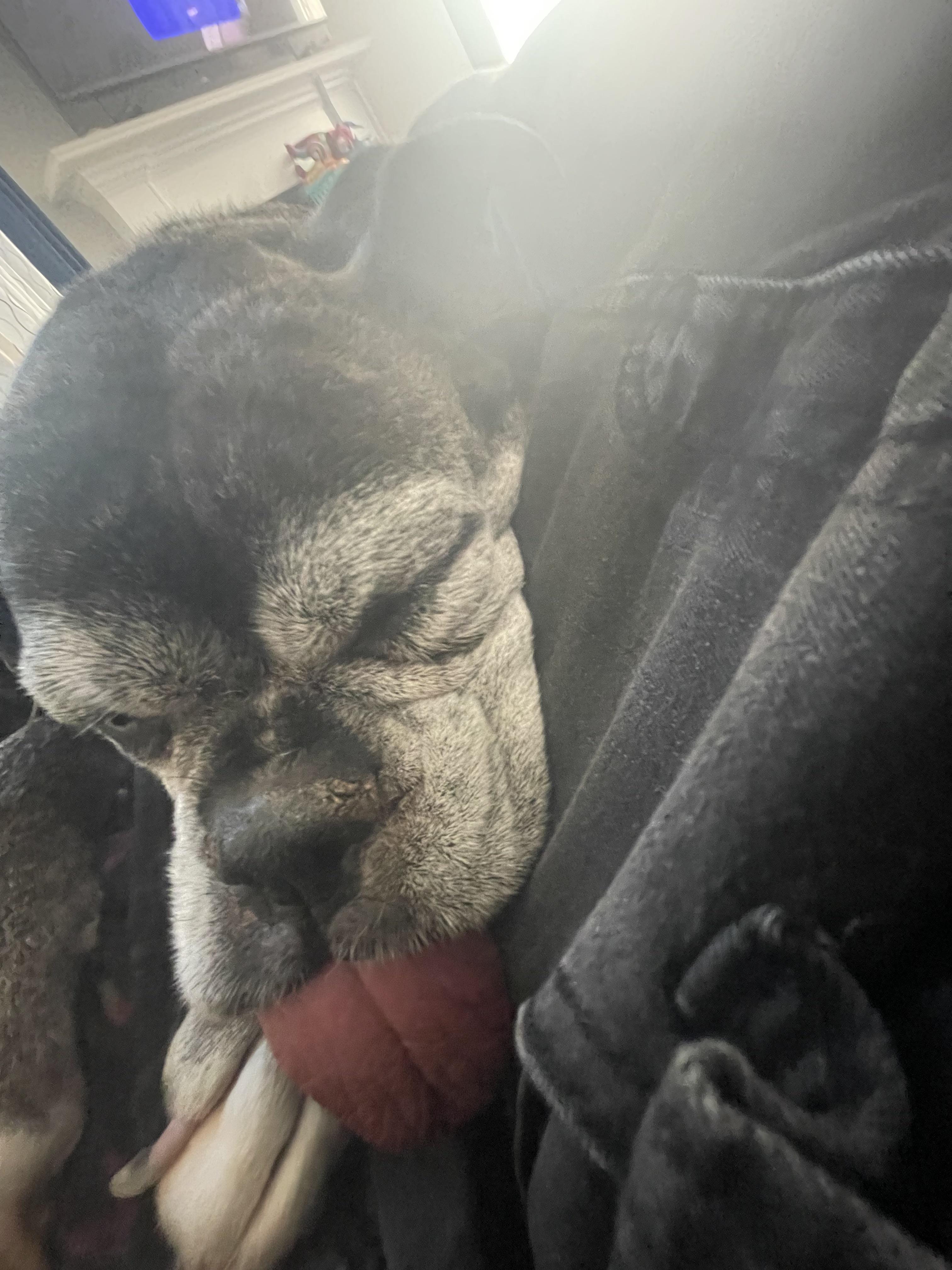 My old lady violet | Scrolller