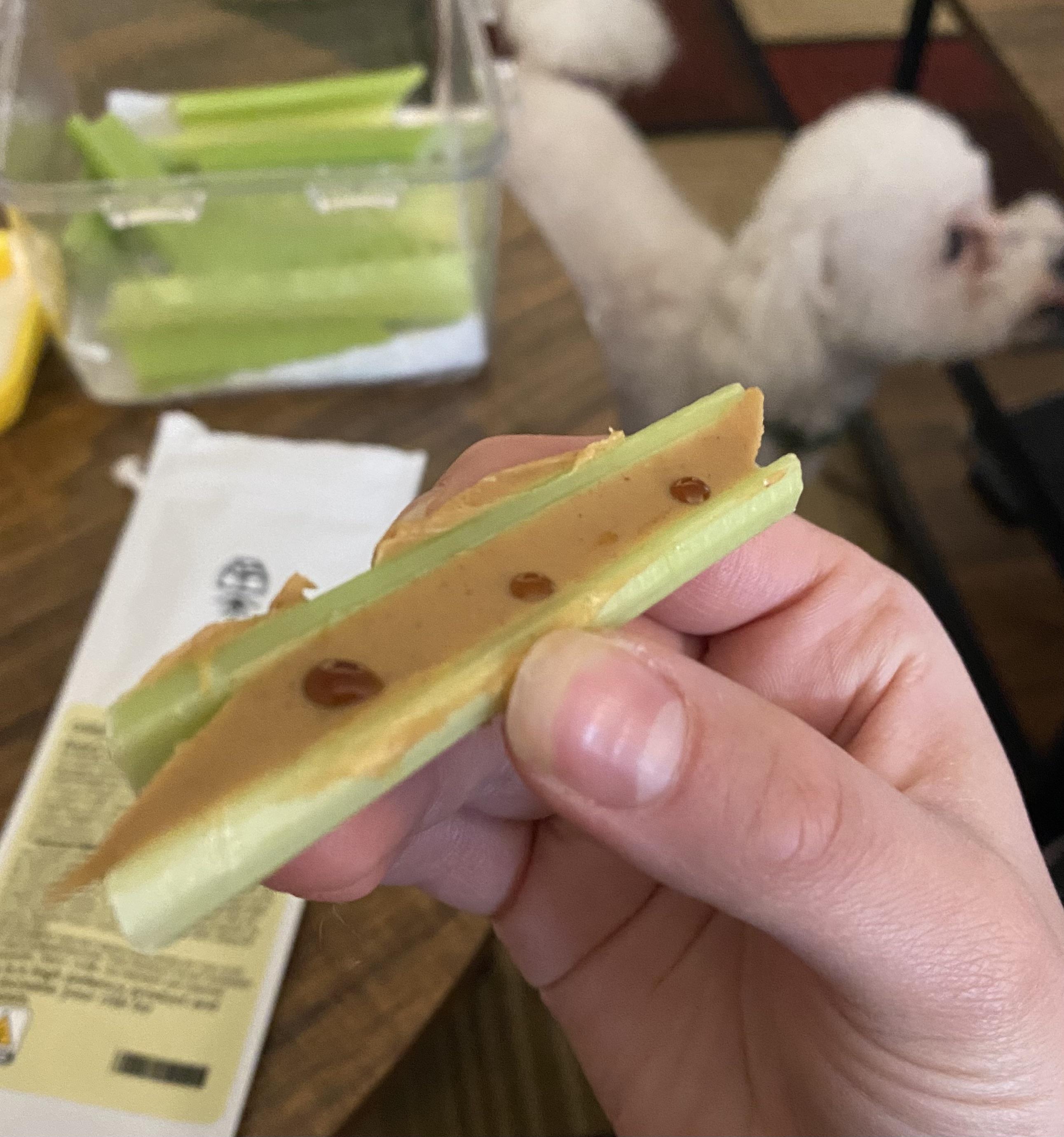 Ants on a log | Scrolller