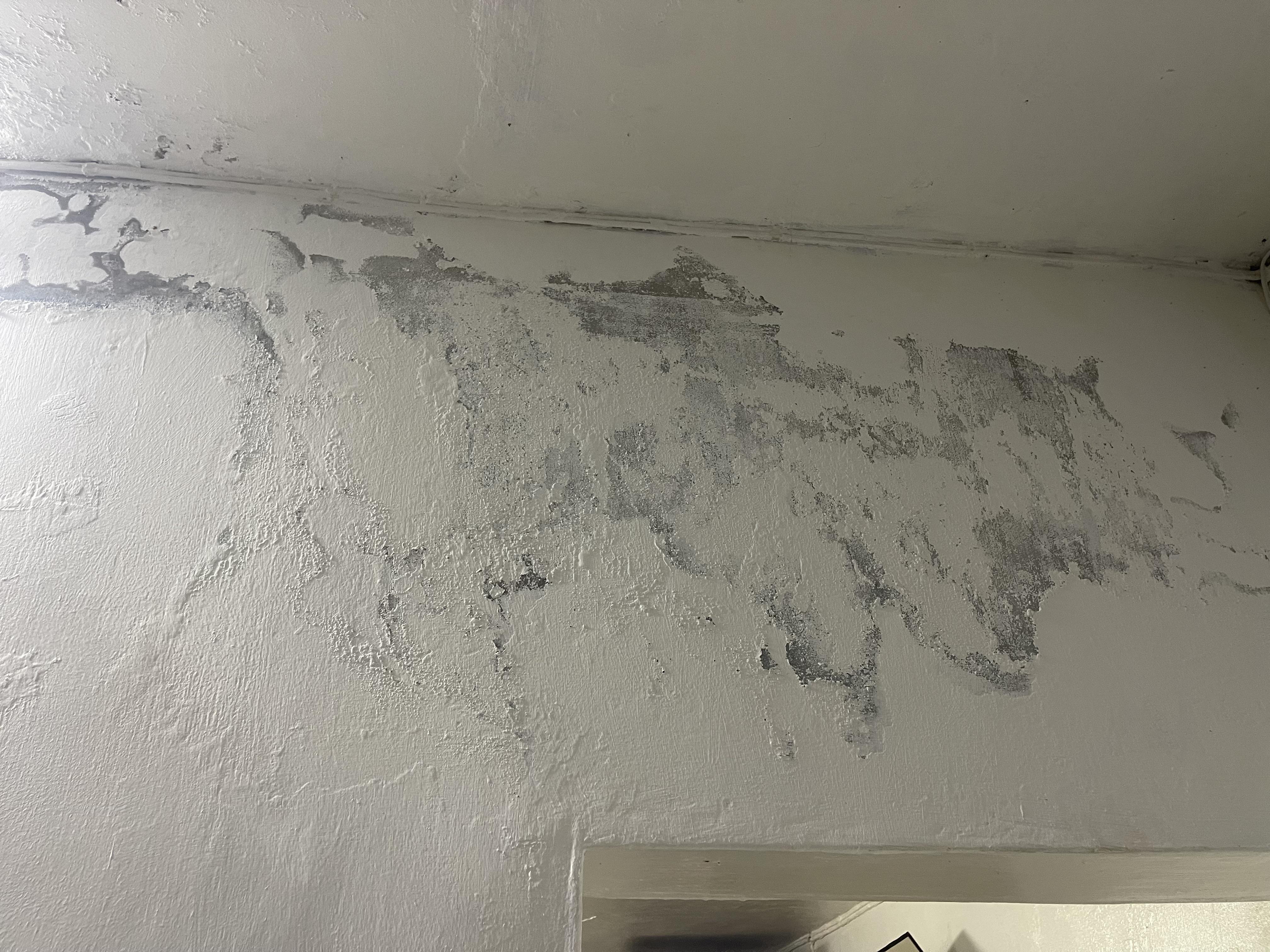 How do i fix white powder on concrete walls | Scrolller