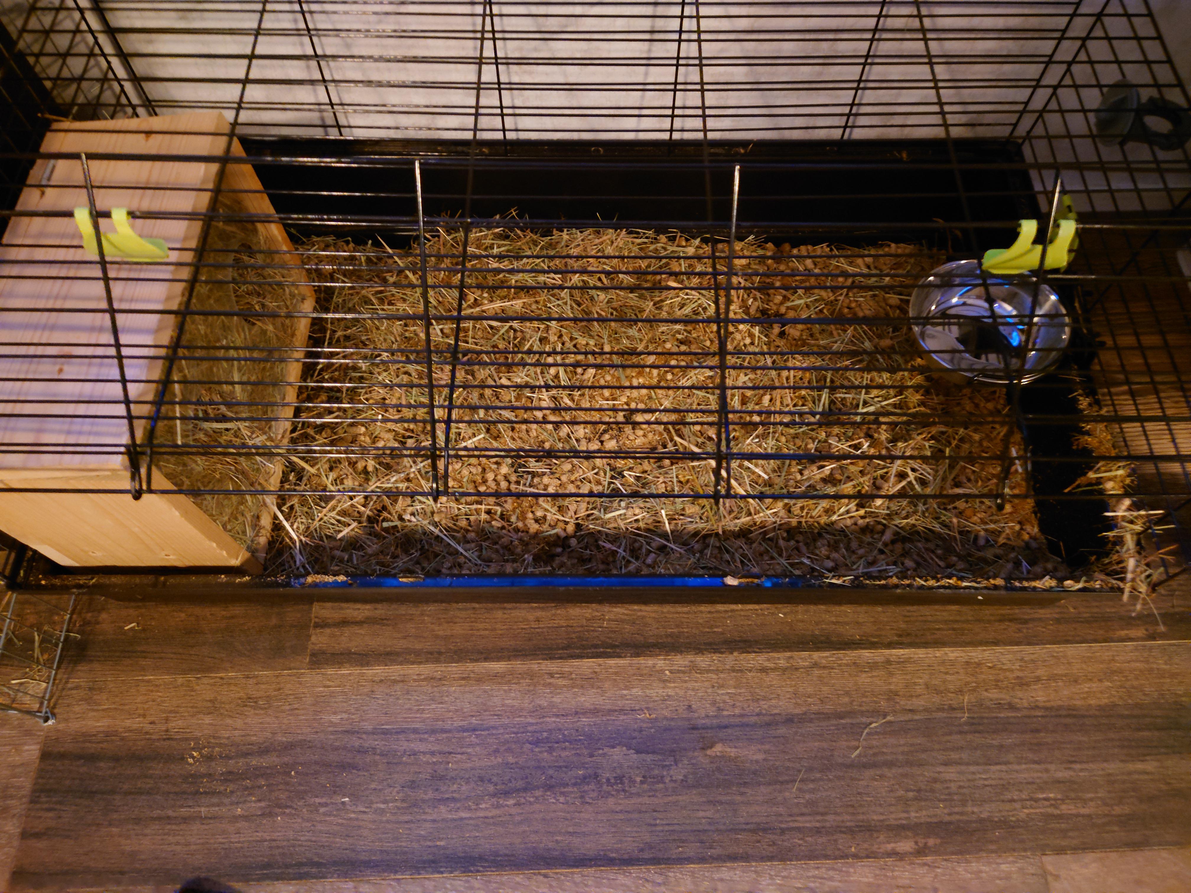 Messy behaviour - Digging in toilet | Scrolller