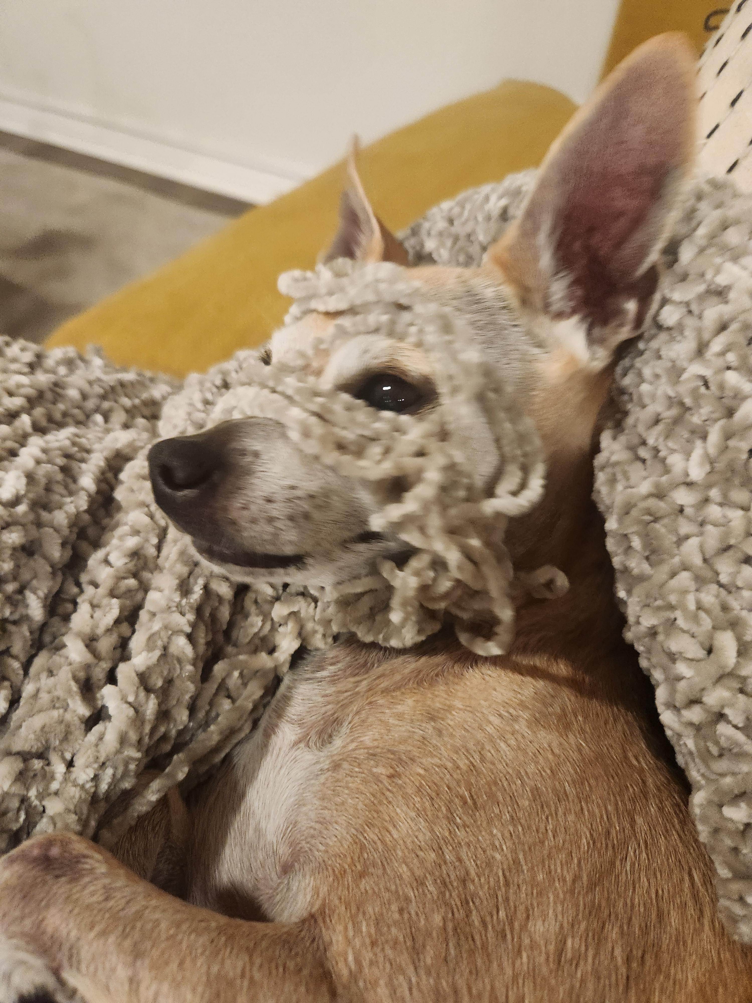 Super hero? | Scrolller