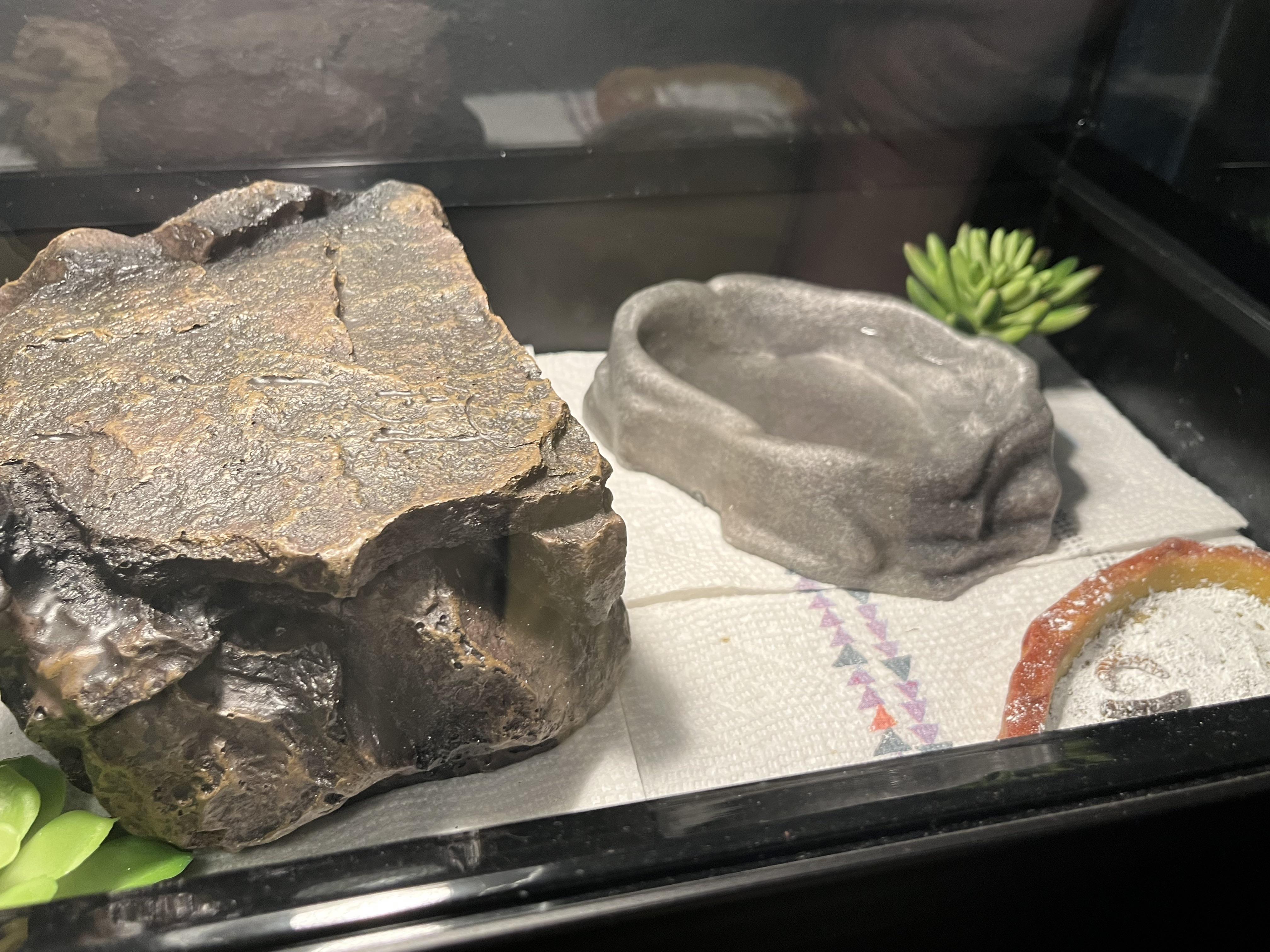 Thoughts on my setup? I plan on getting a new tank and getting this ...