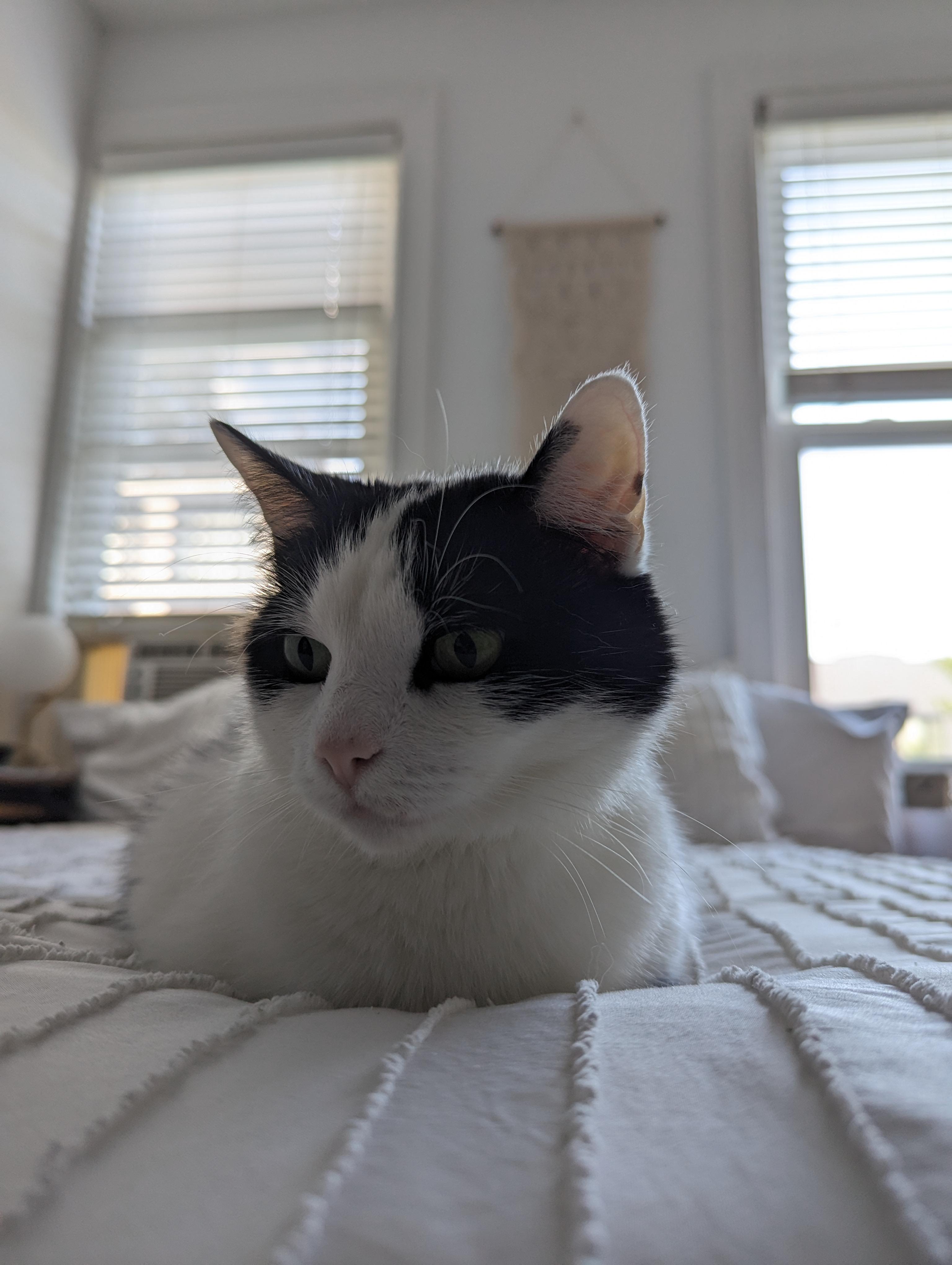 10/10 loaf | Scrolller