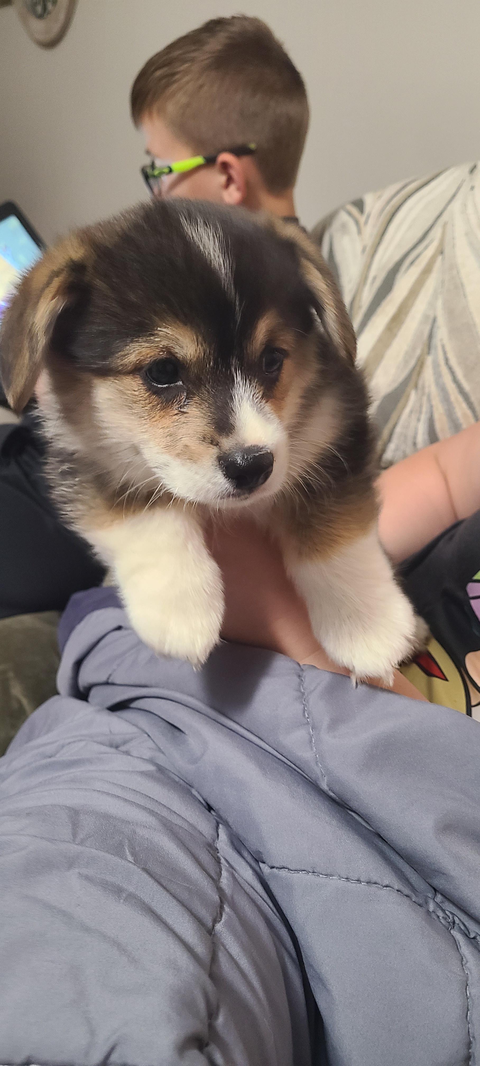 Meet Agnes | Scrolller