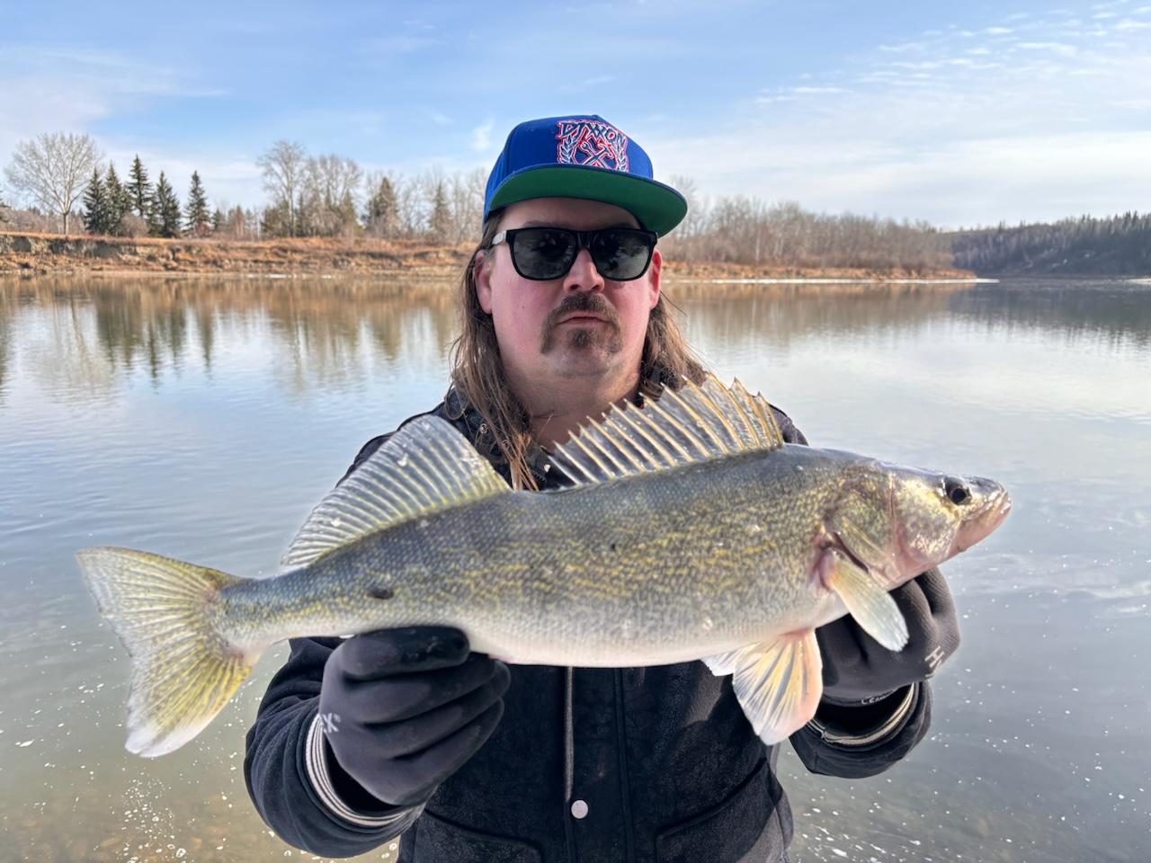 River finally opened up in my city and got my first fish of the season, nice thick Walleye. My ...