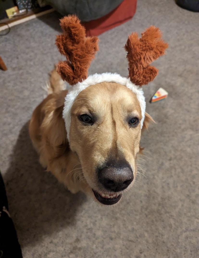 Christmas Cosmo [OC] | Scrolller