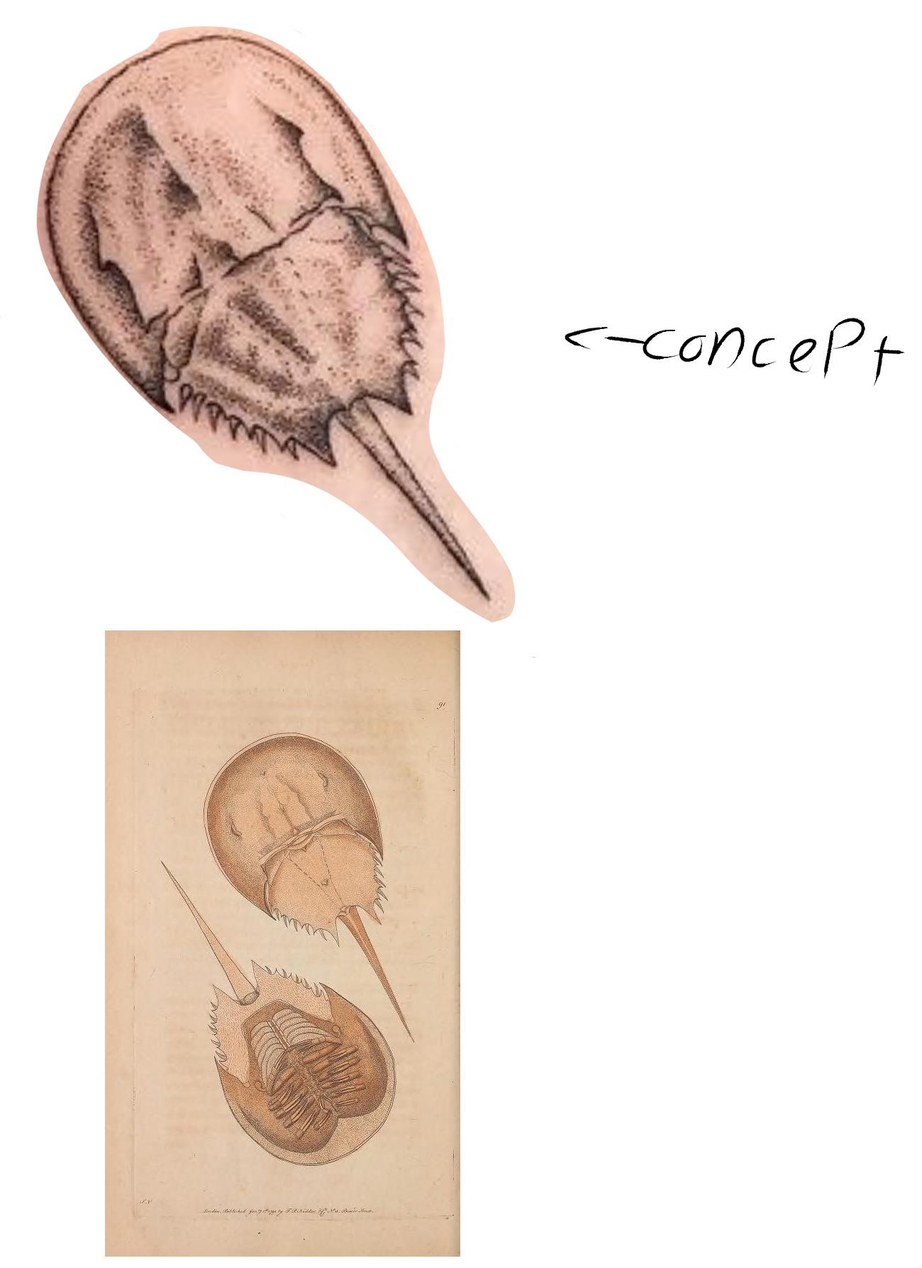 Thoughts on concepts | Scrolller