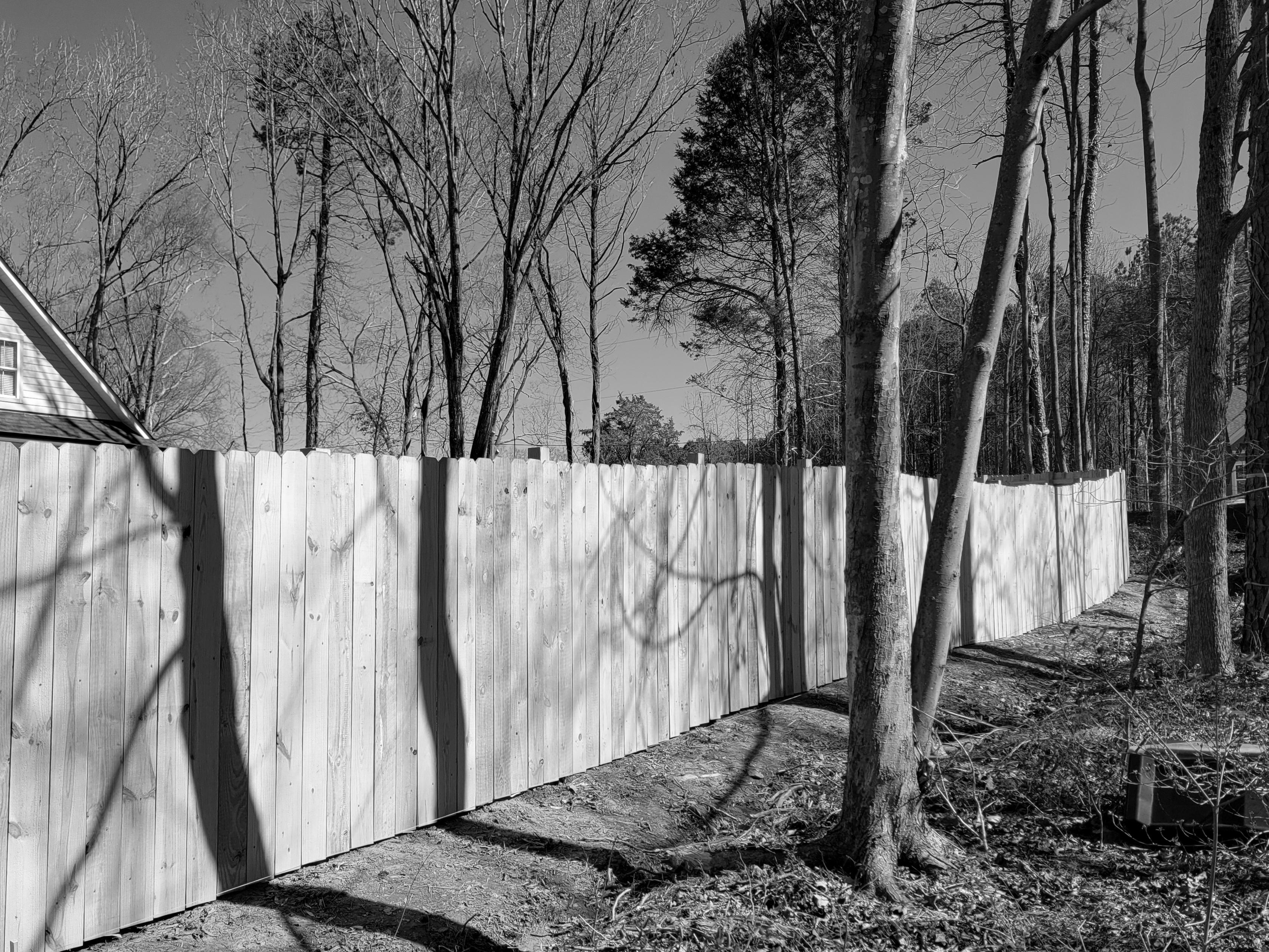 Late Winter, Long Shadows | Scrolller