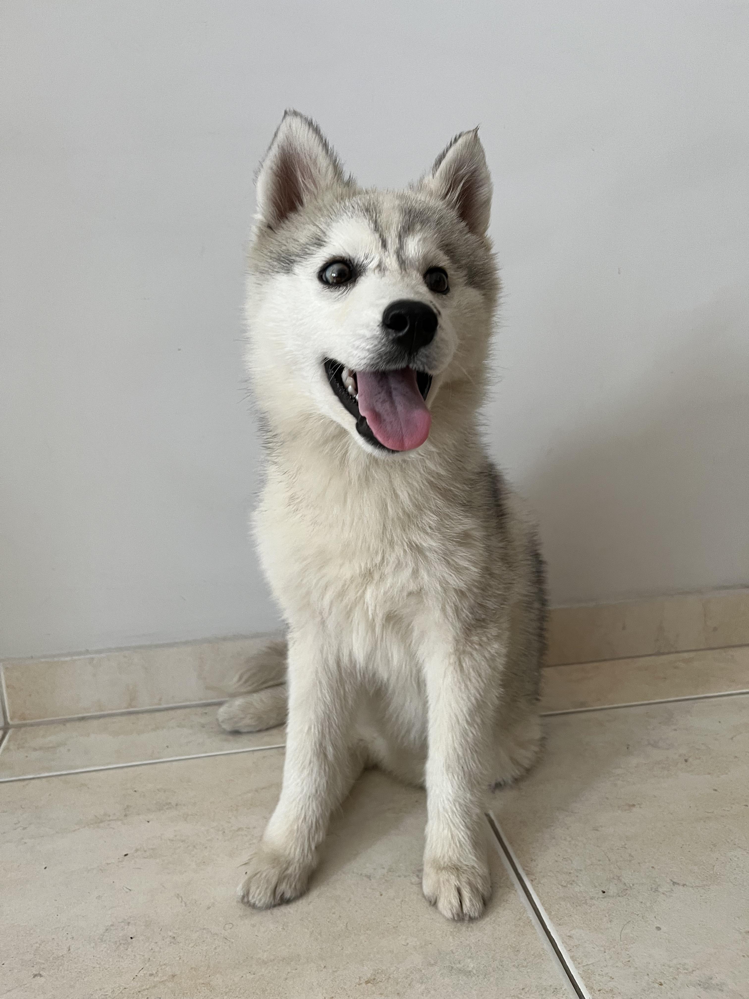 My girl is growing fast! | Scrolller