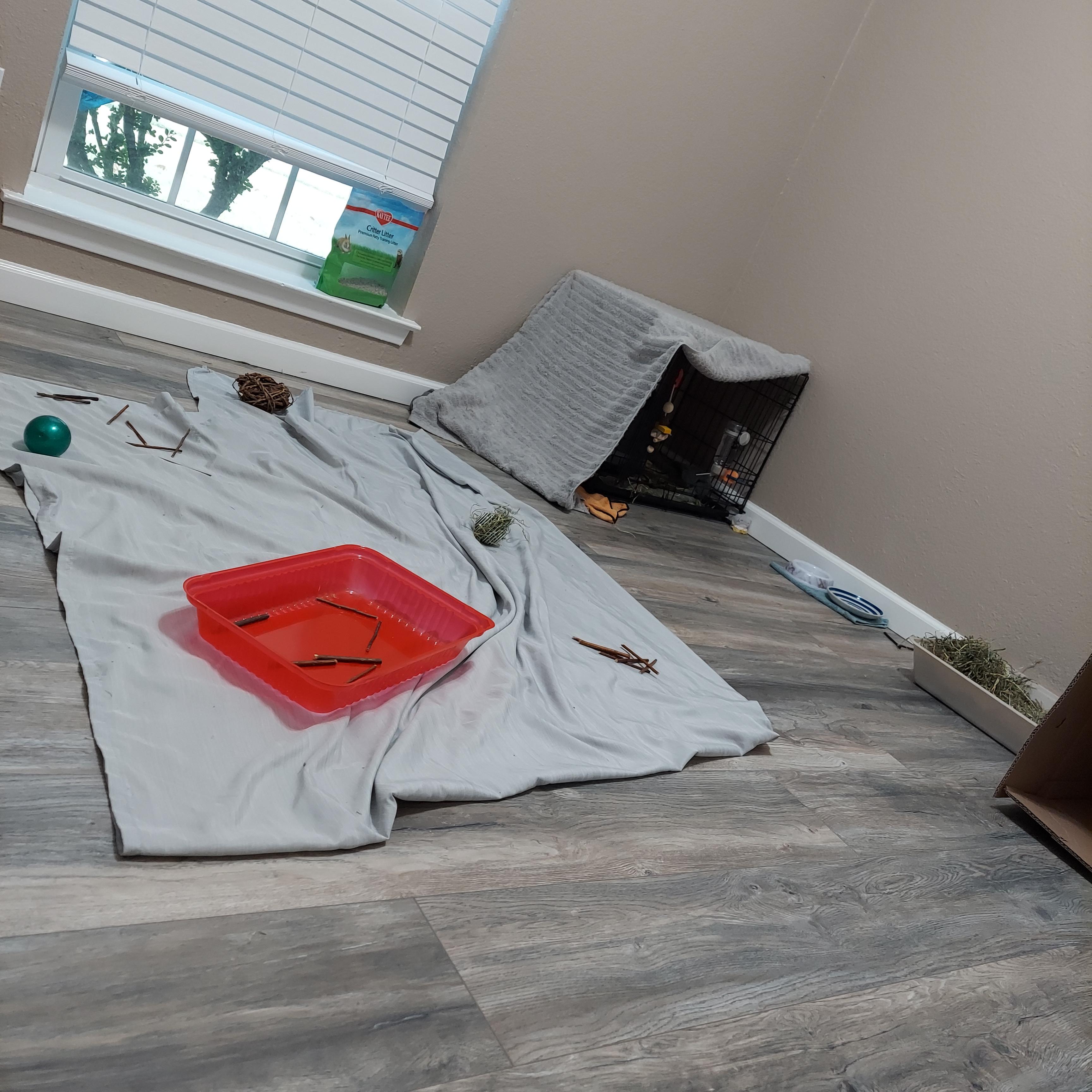 The bunny Room 🐰 just got deep cleaned ☆ | Scrolller