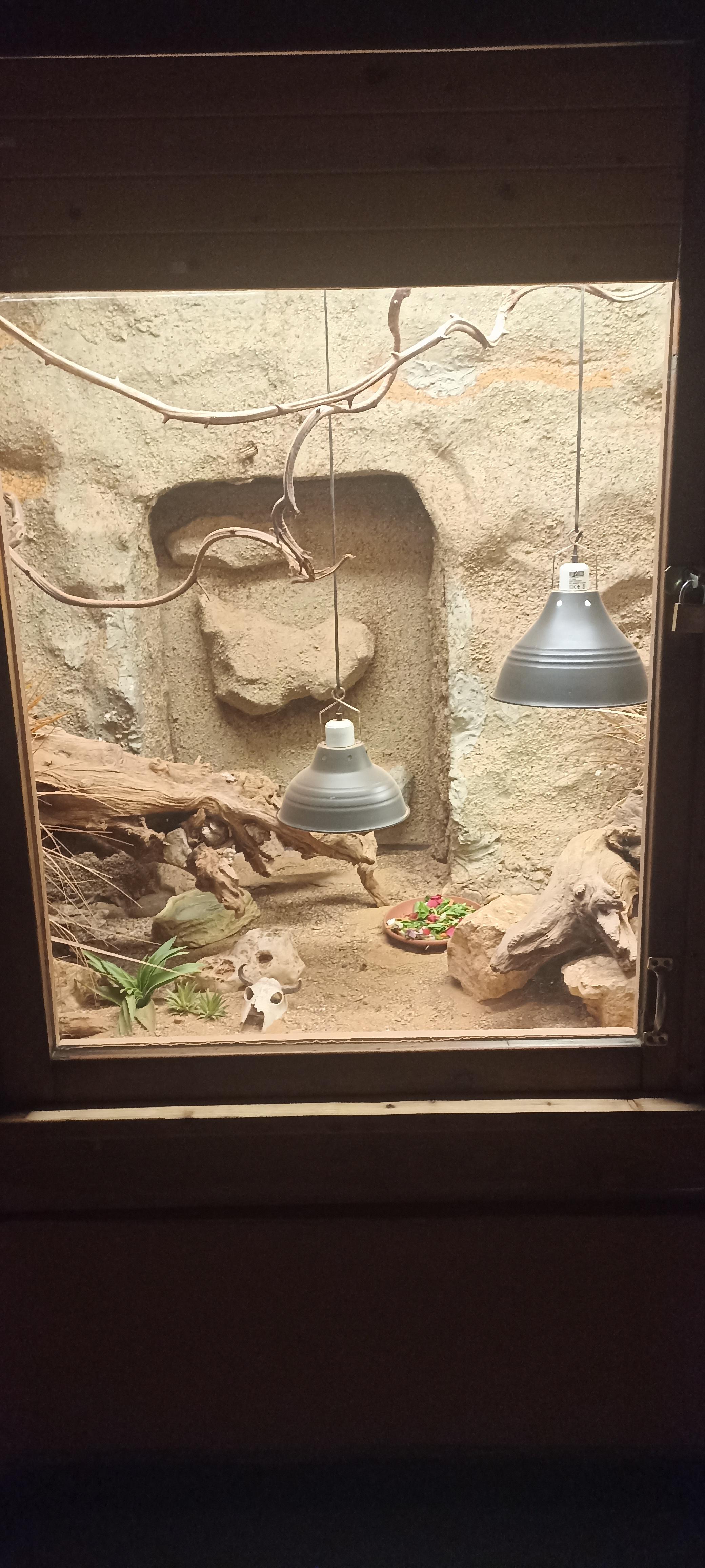 What do you think of this enclosure? | Scrolller