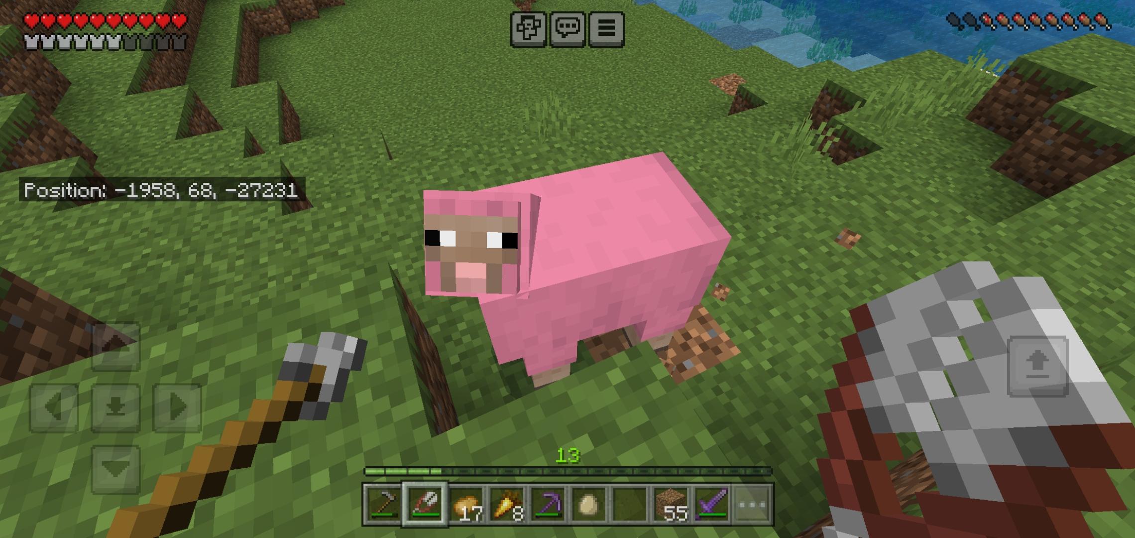 Wild Pink Sheep | Scrolller
