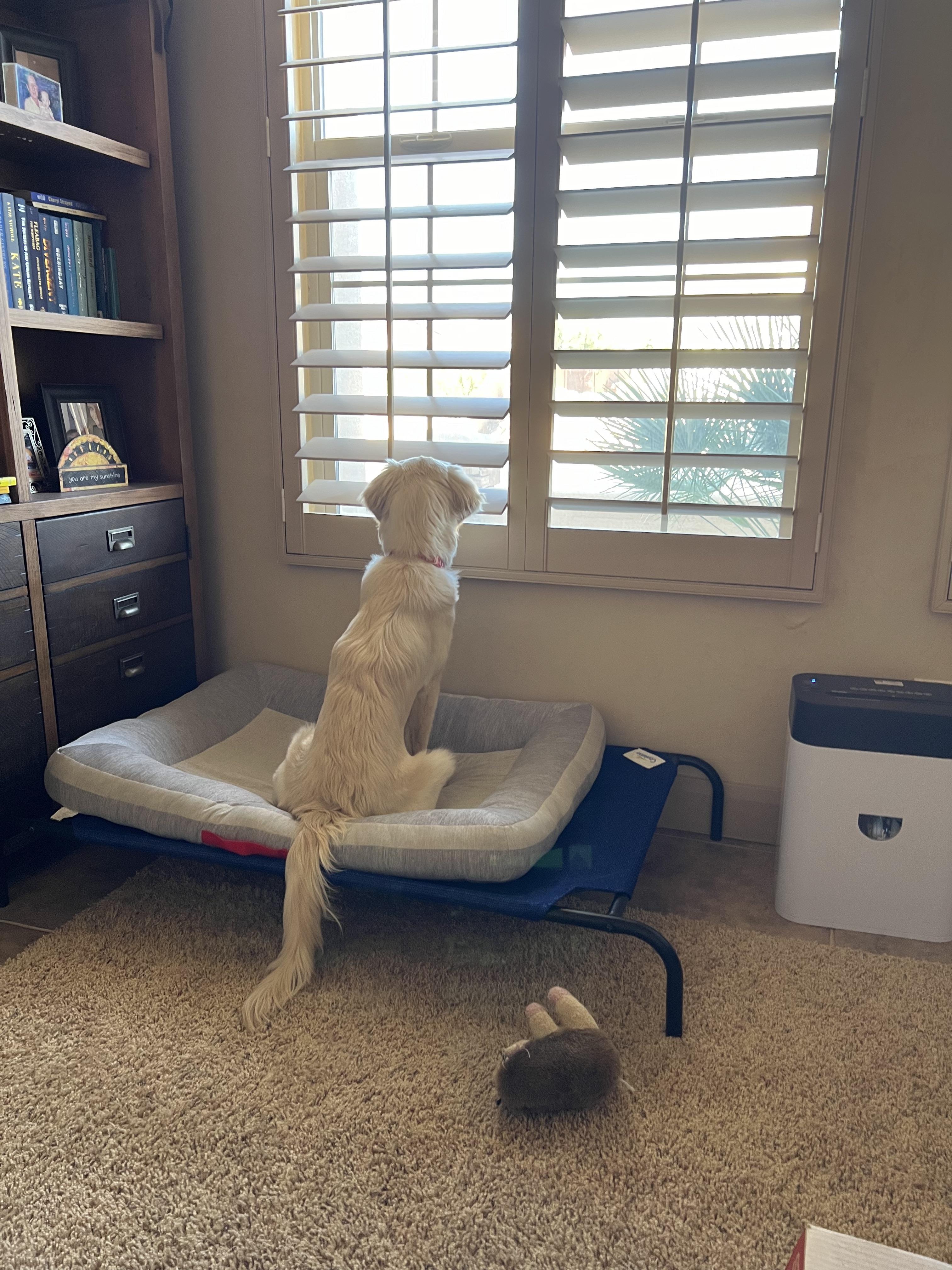 Neighborhood Spy | Scrolller