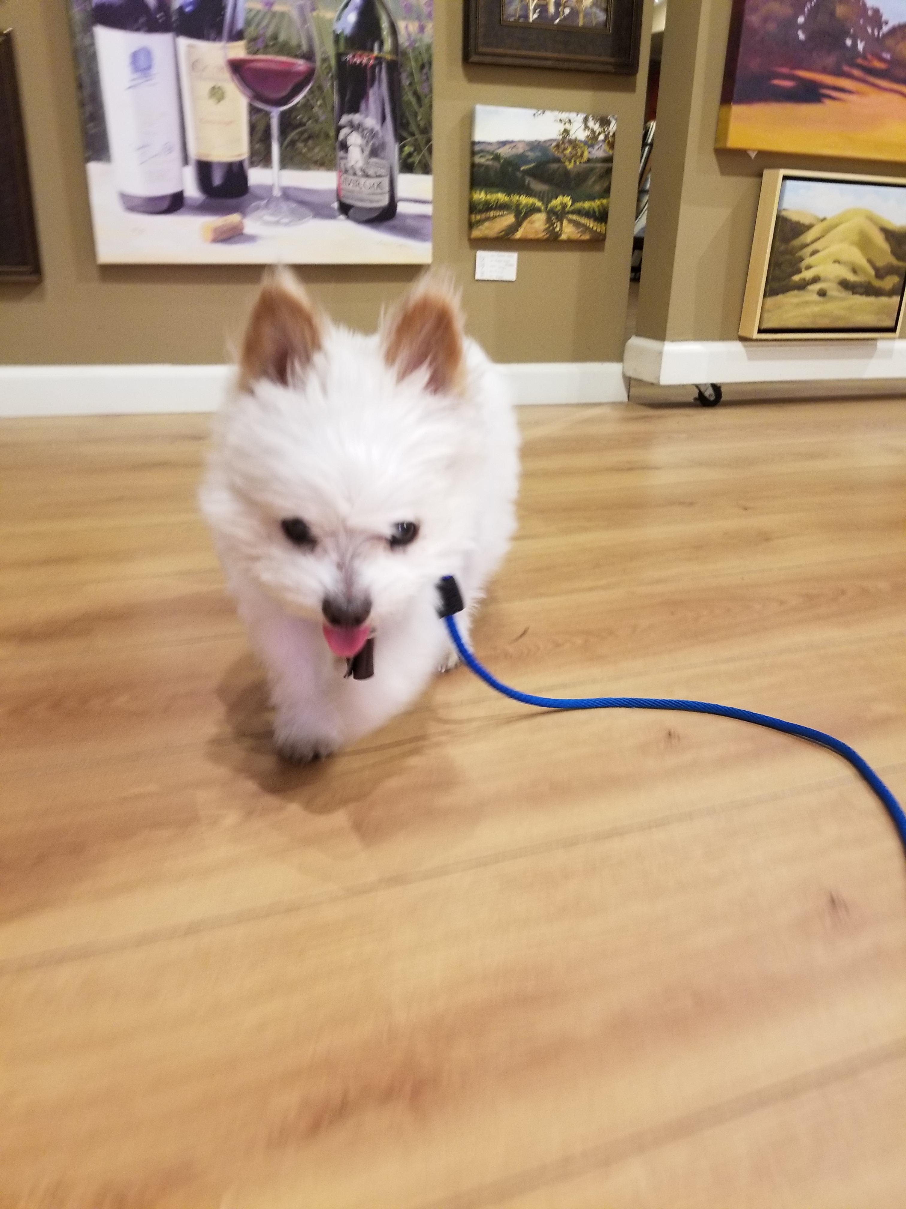 Today is Kiyo's 17th birthday! | Scrolller