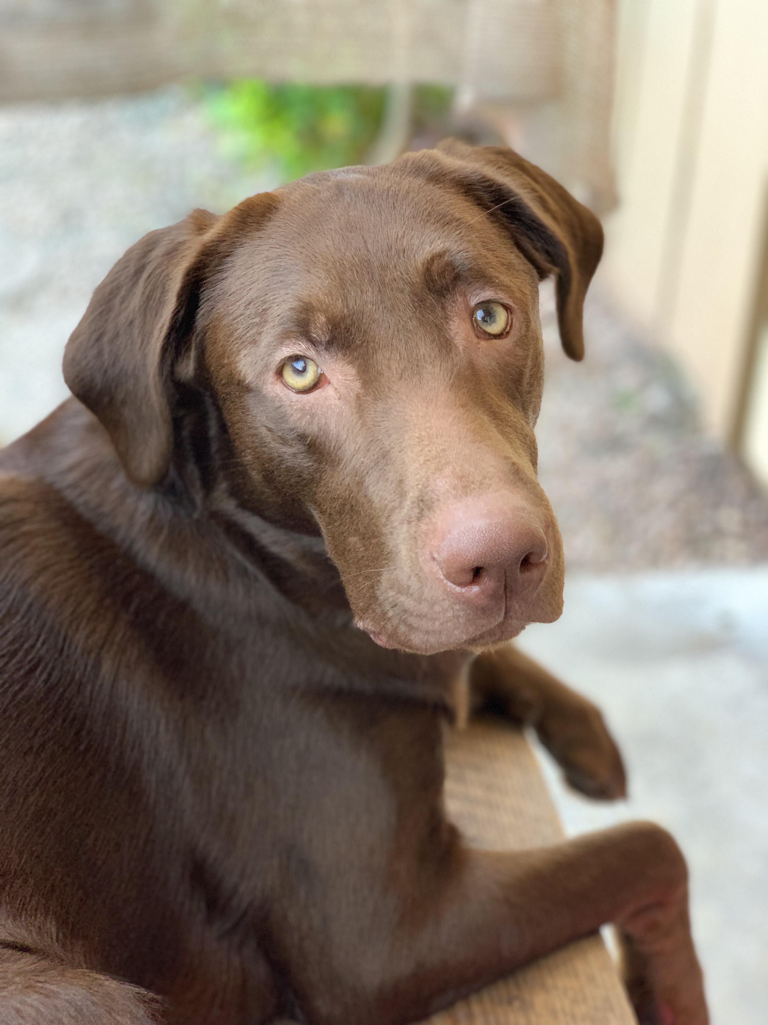 Then and now: choco labbo version | Scrolller