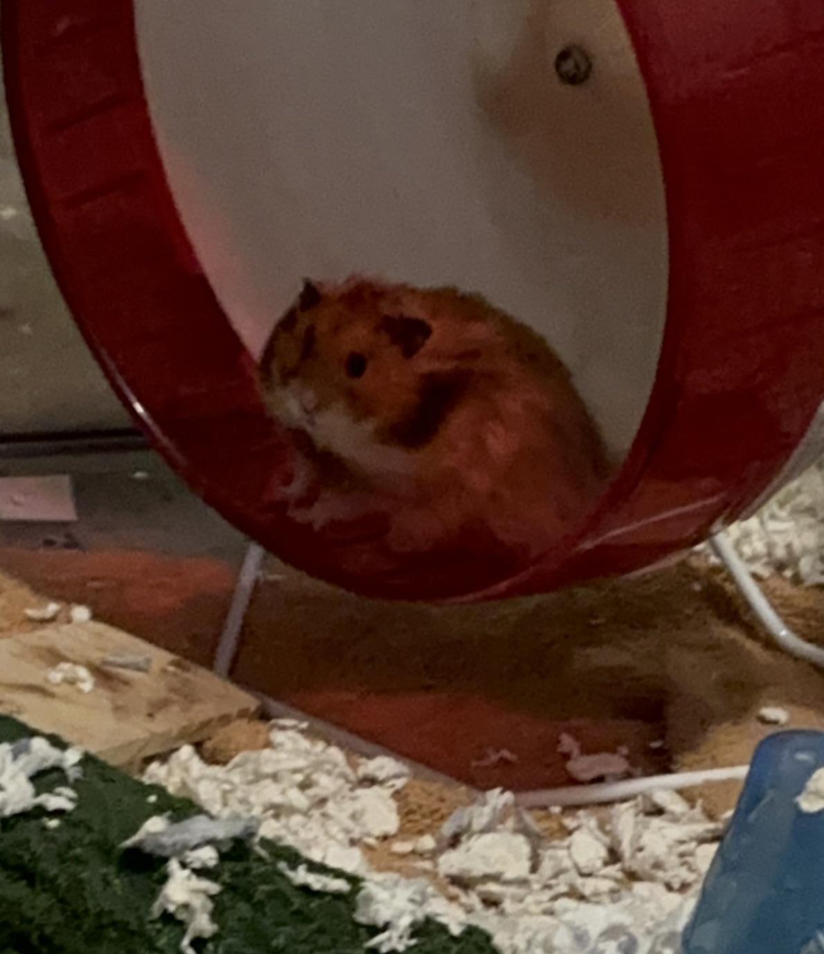 Tissue Inhaler | Scrolller