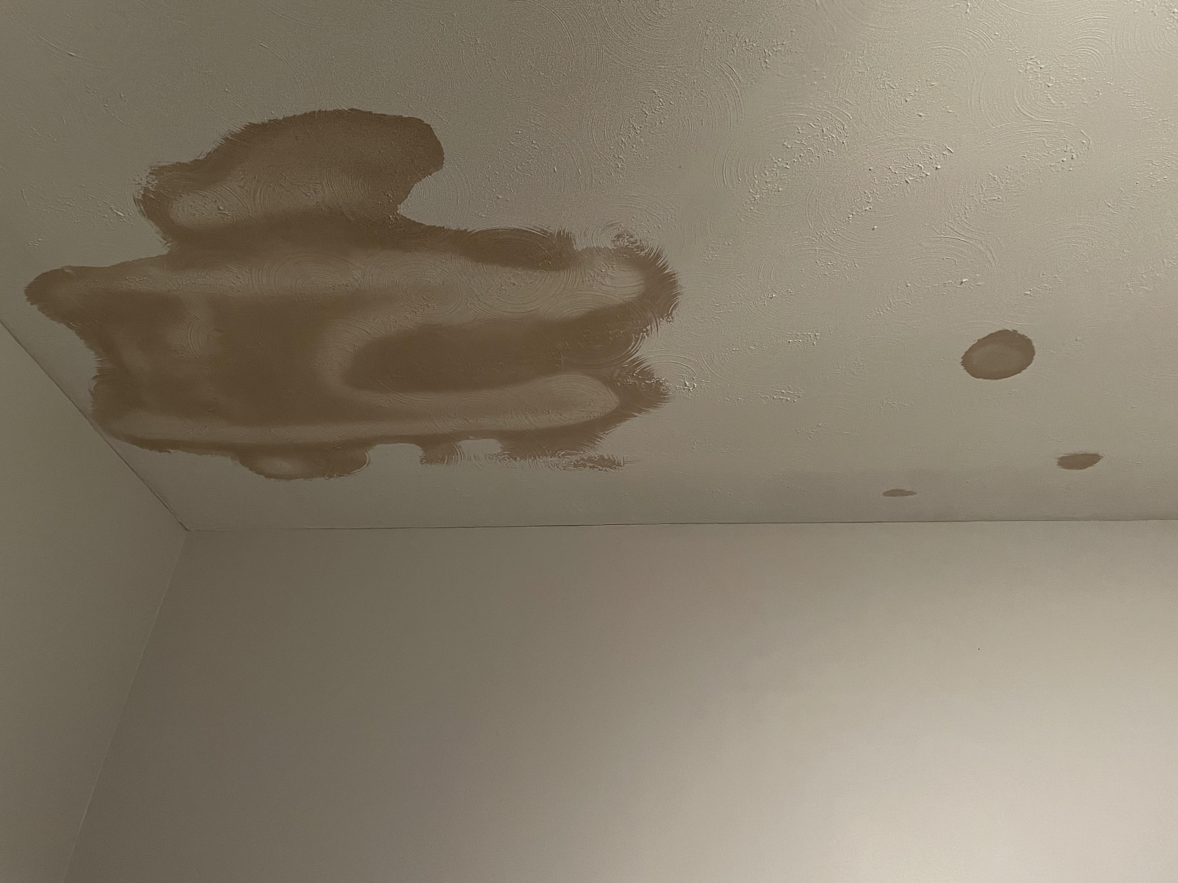 Does anybody have any idea what this weird brown stain is on my ceiling? The texture of it is ...