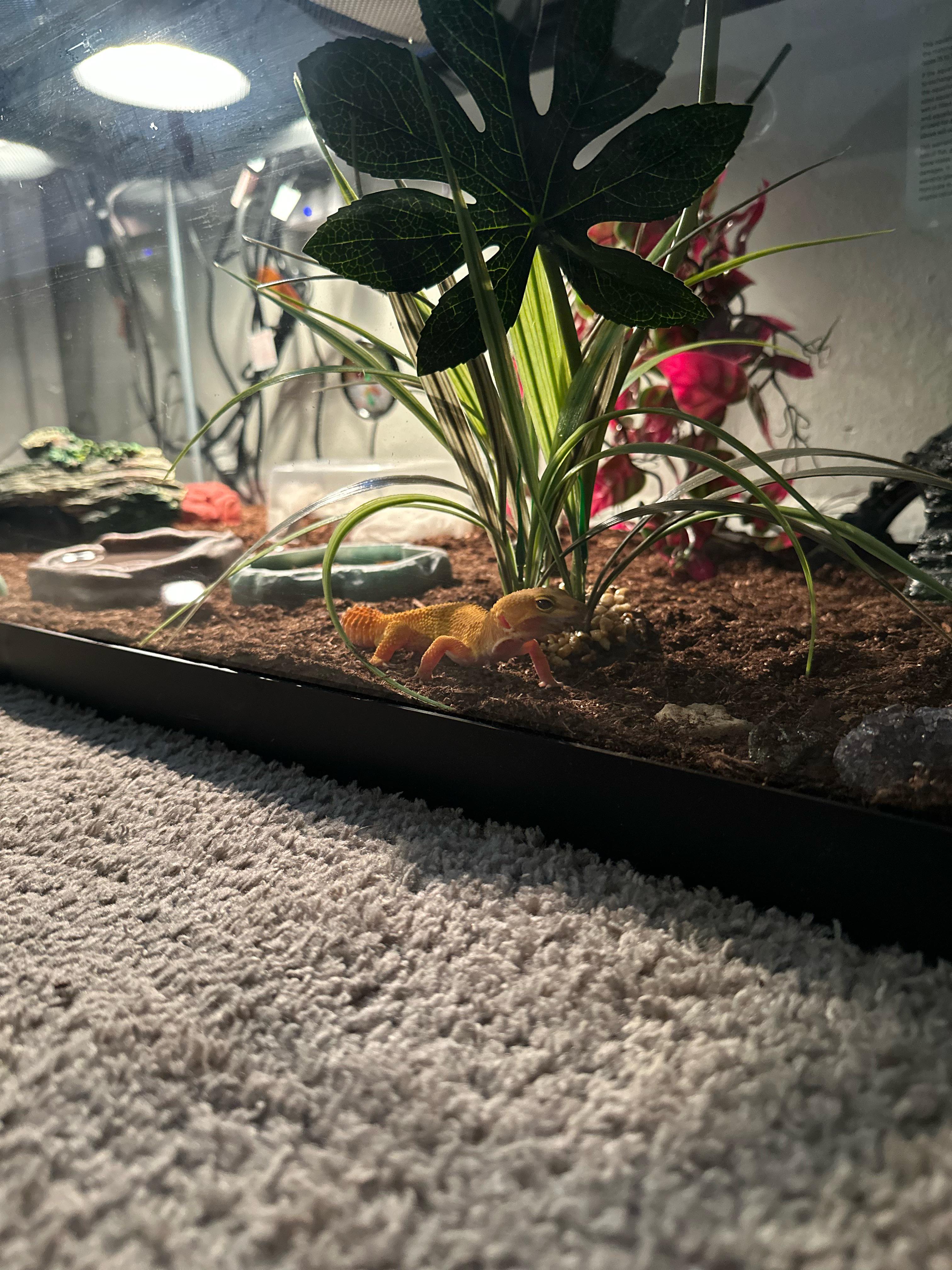 Upgraded Home! | Scrolller