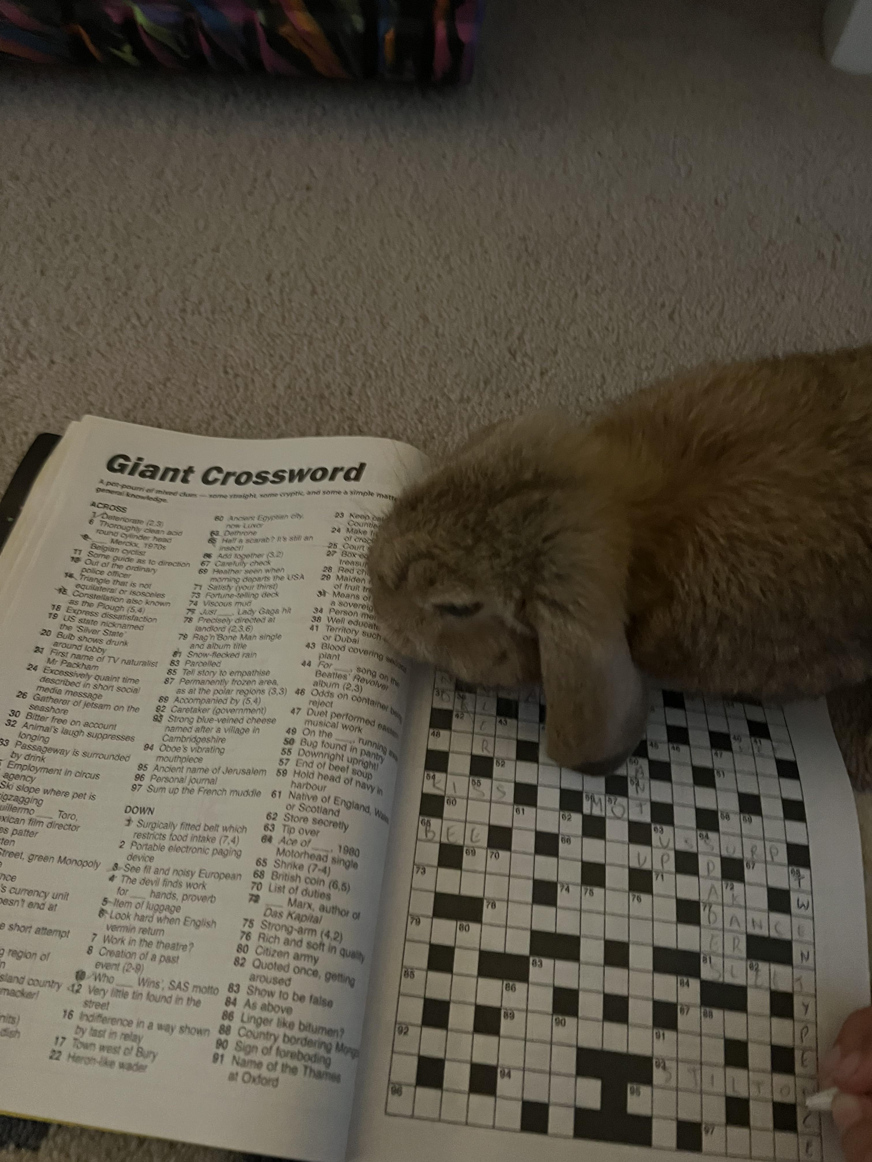 Stoopid human, let me help | Scrolller