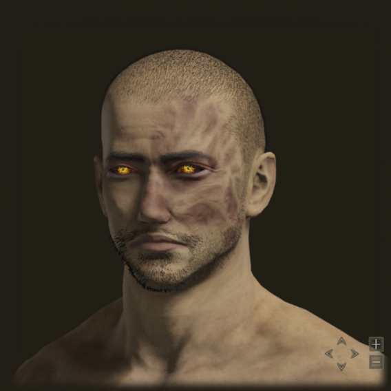 Flamma, The Untamed - Gladiator of Radahn | Scrolller