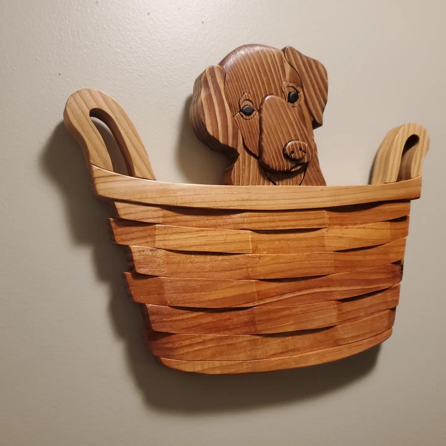 Chocolate lab | Scrolller