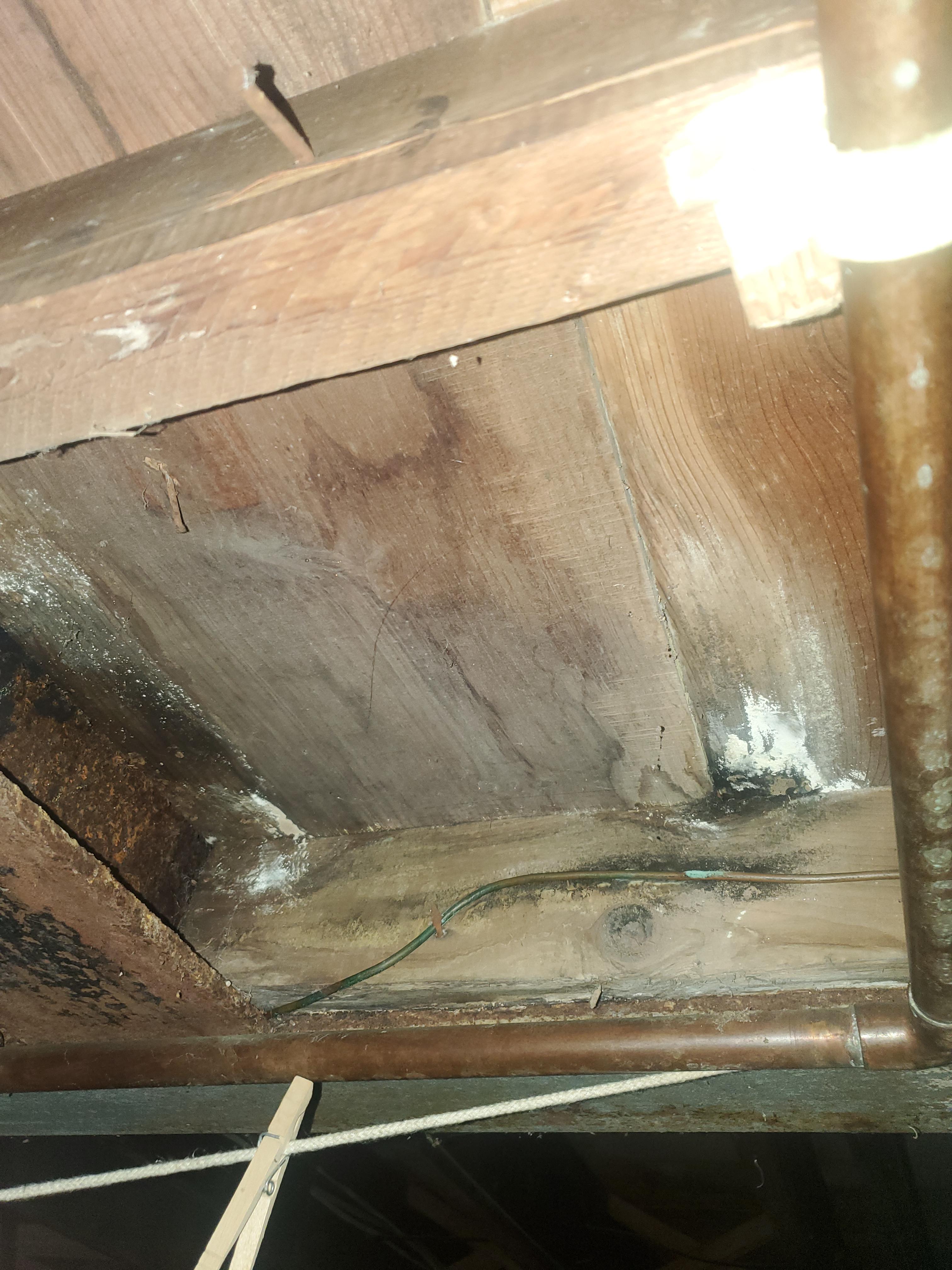 Leak in basement underneath the patio | Scrolller