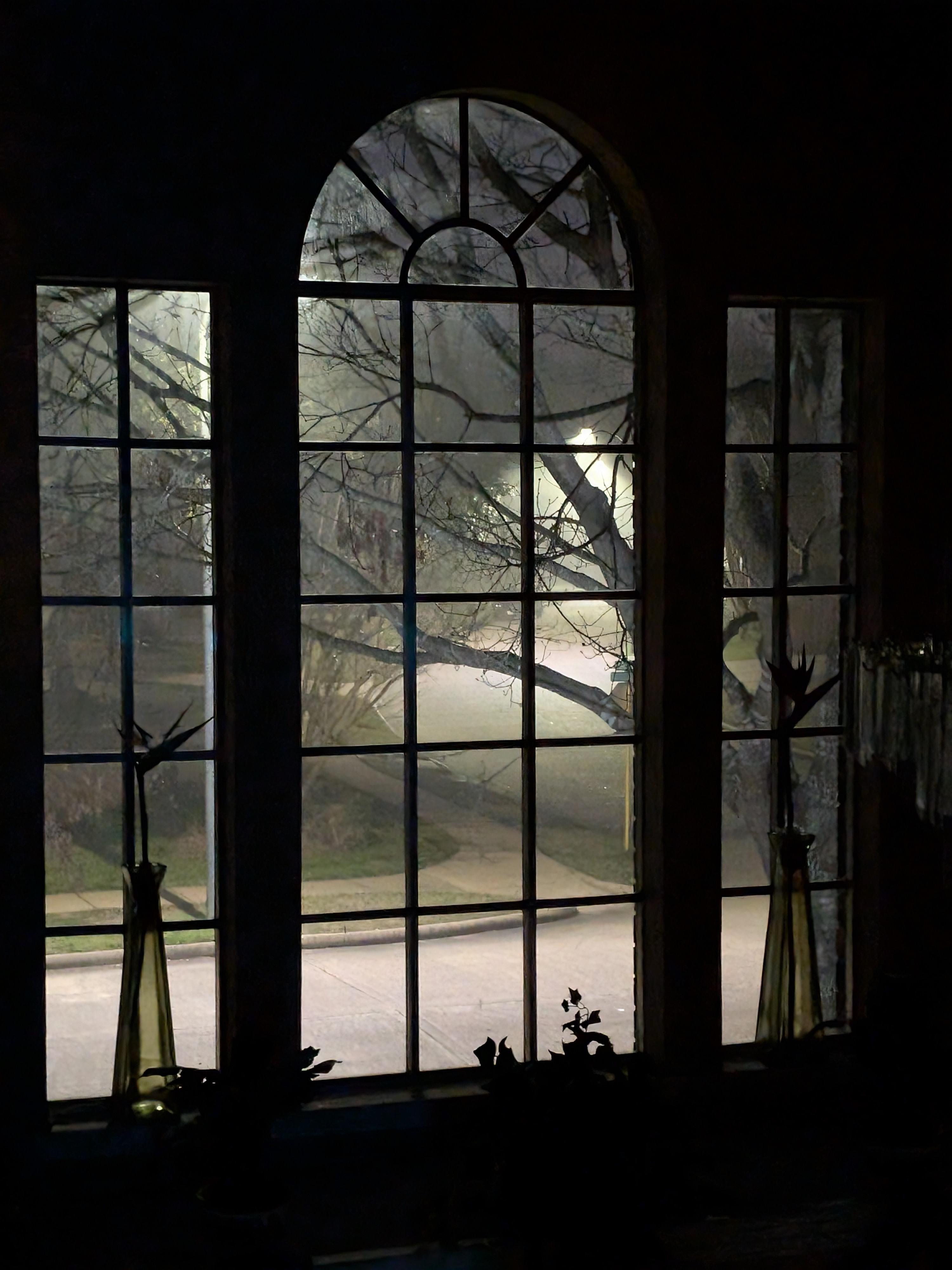 Foggy morning | Scrolller