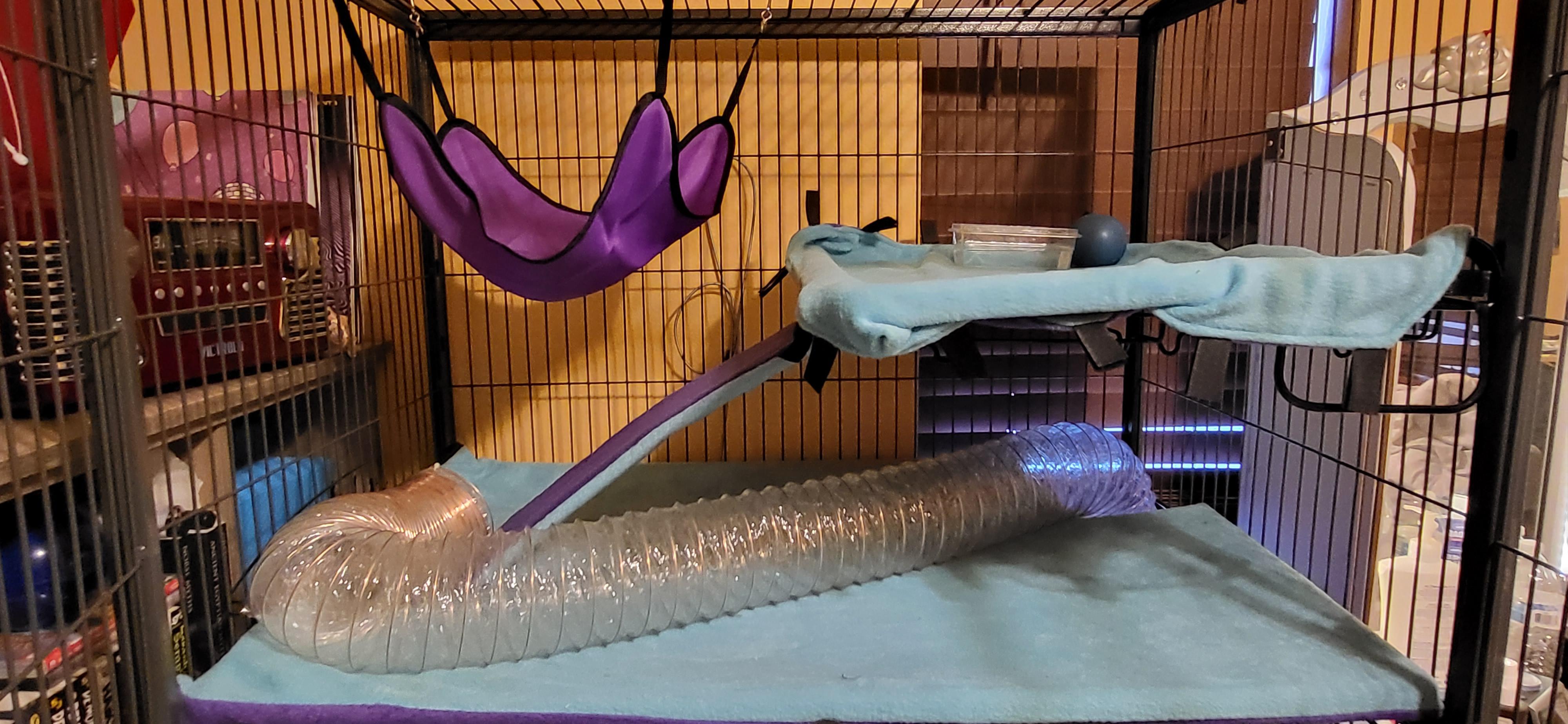 New cage :) any upgrades i should make? | Scrolller