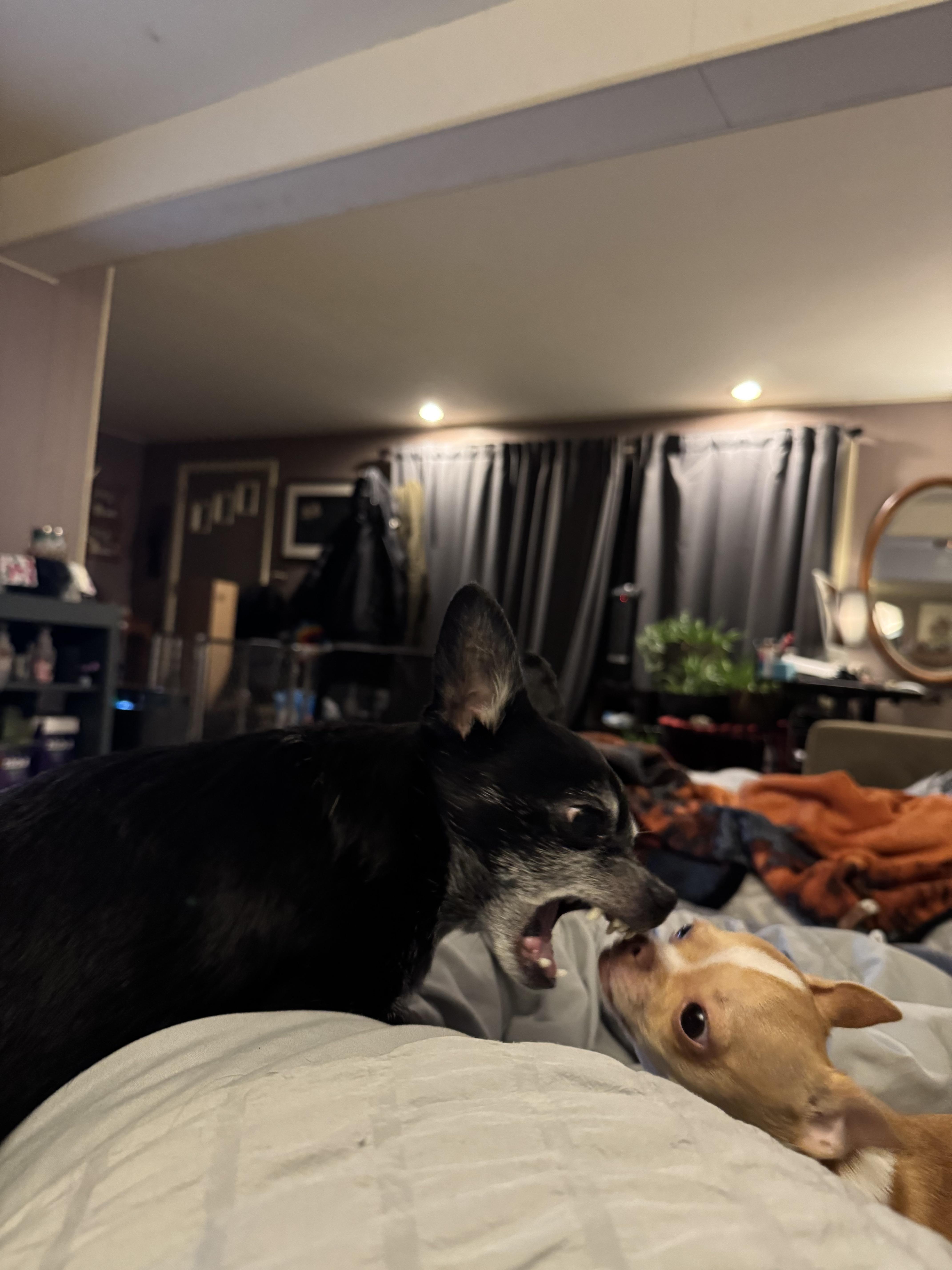 Buddy and Billy finally love each other! | Scrolller