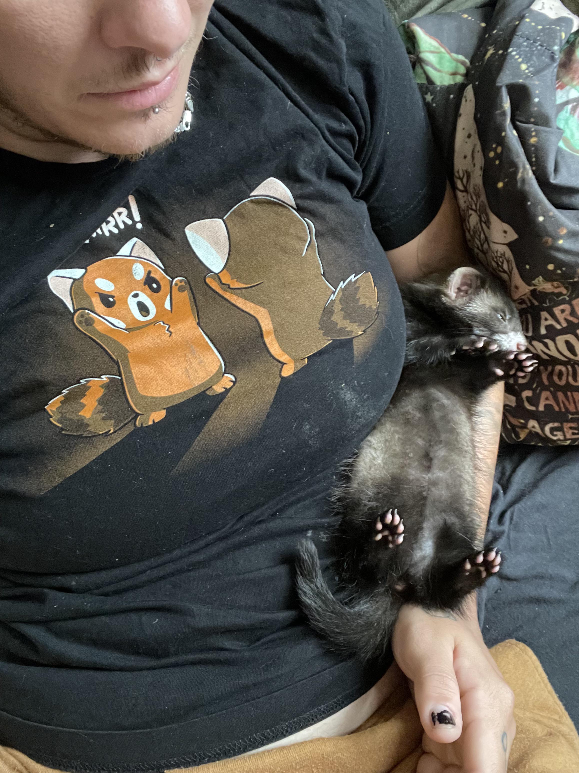 Meet MEF’s *Goblin* | Scrolller