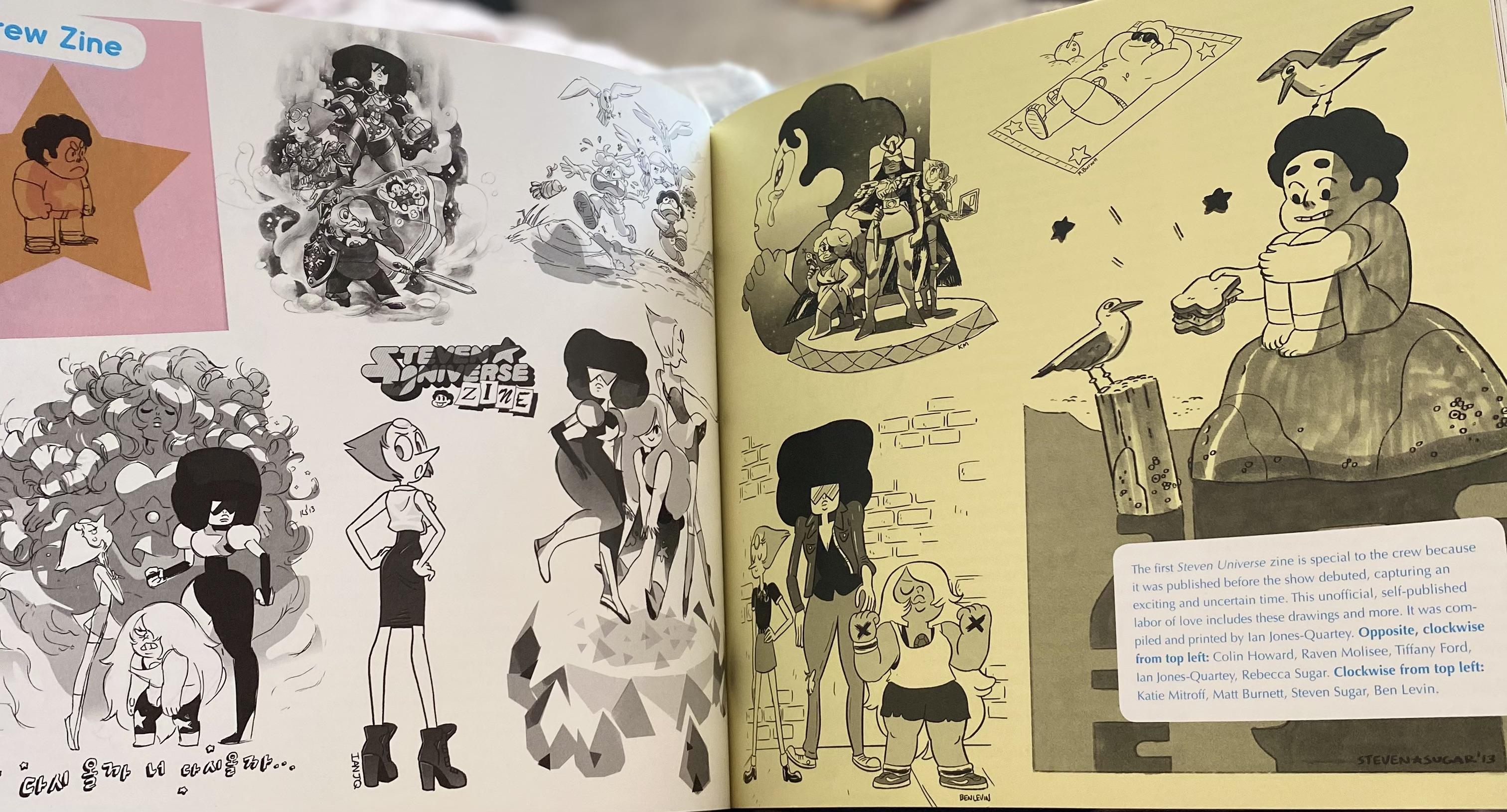 Some of my favorite art from the Steven Universe Art and Origins book! | Scrolller