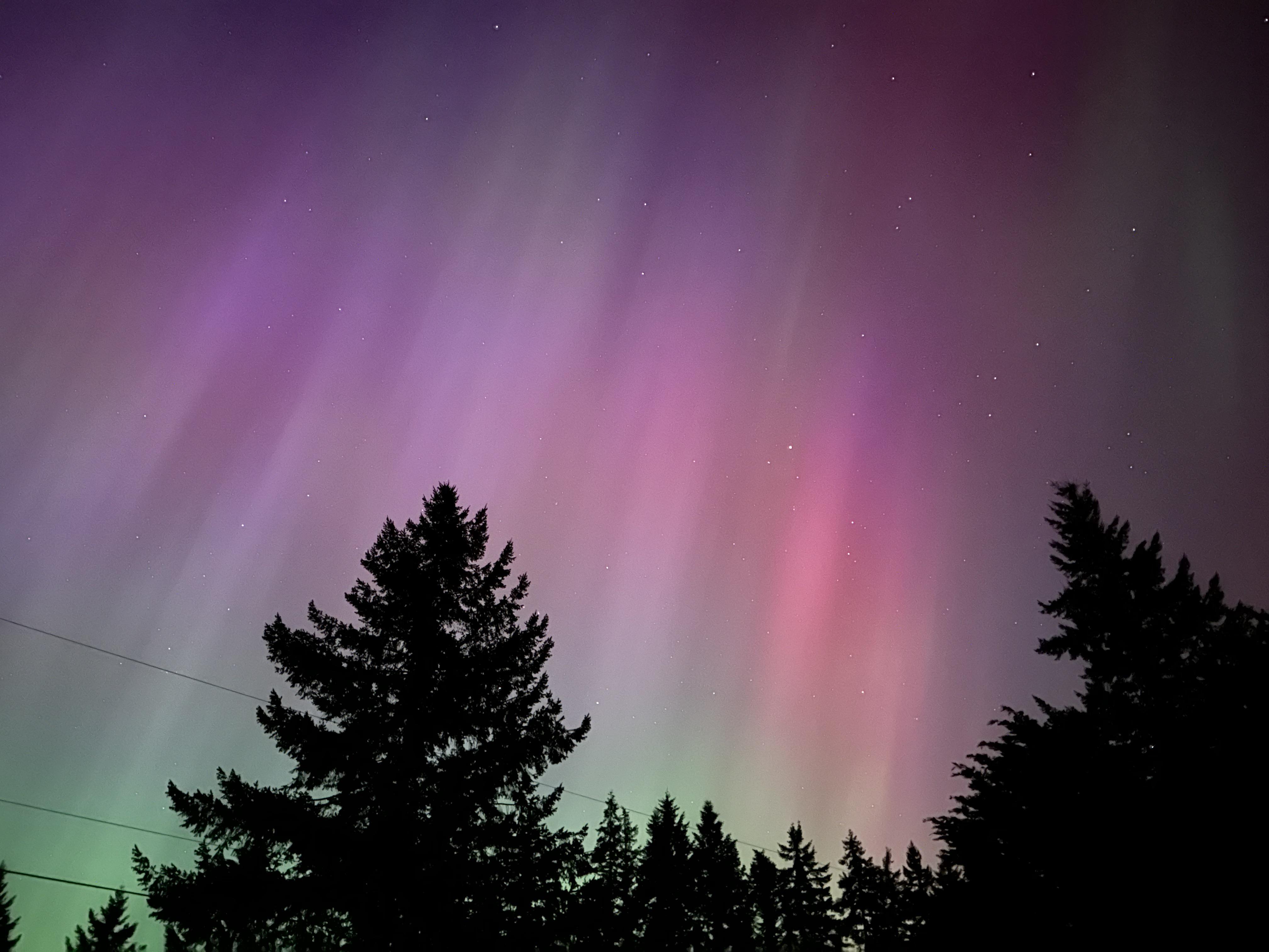 Olympia, WA | Scrolller