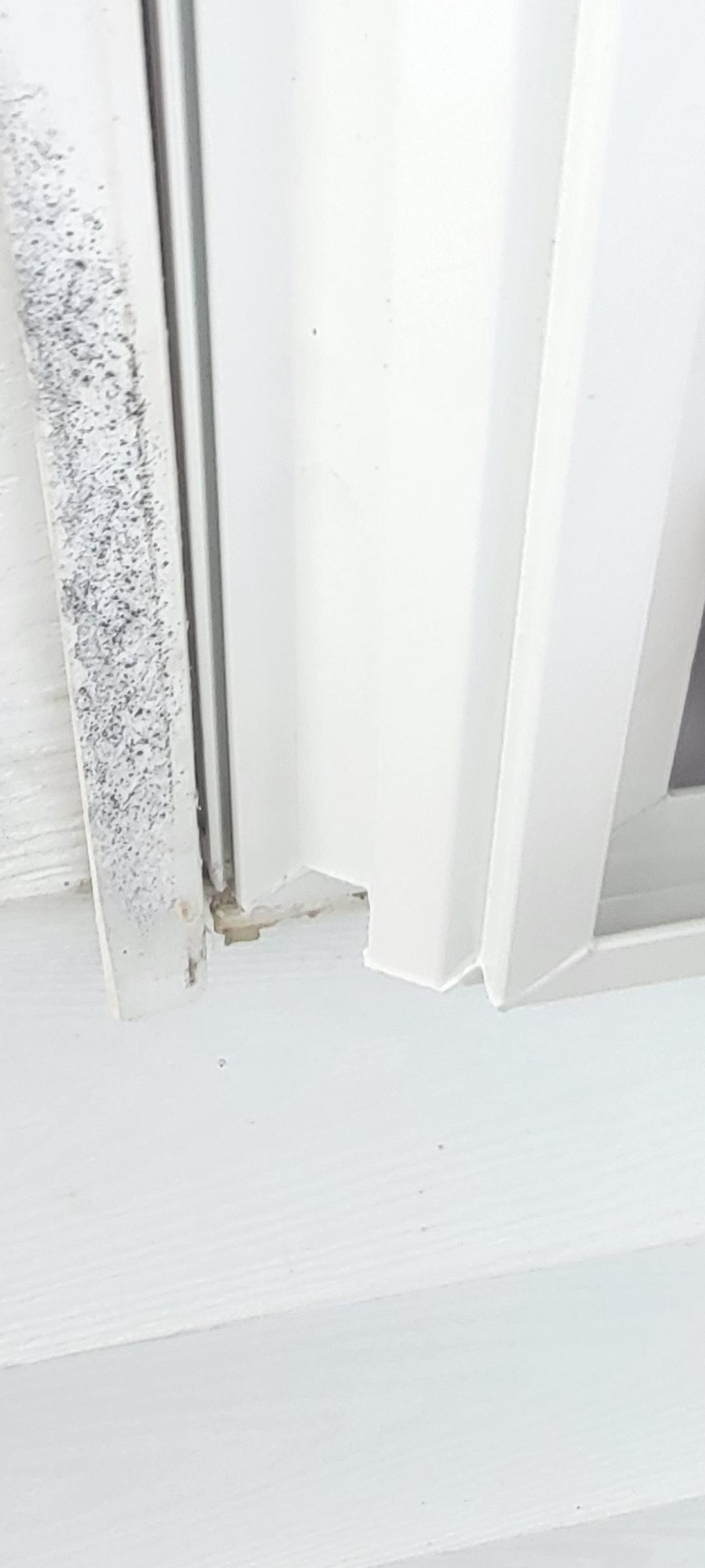 Window installation question | Scrolller