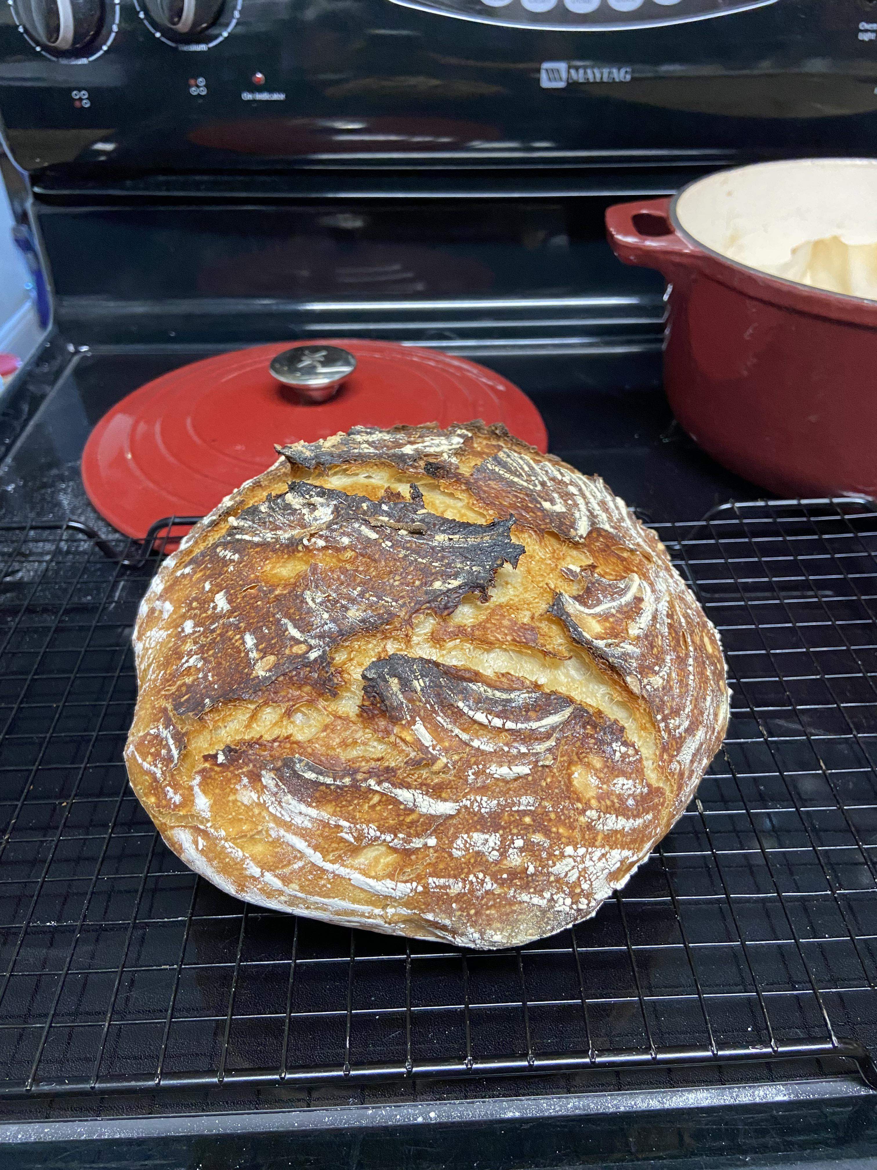 First ever attempt at sourdough (big fail lol) VS second attempt. I ...