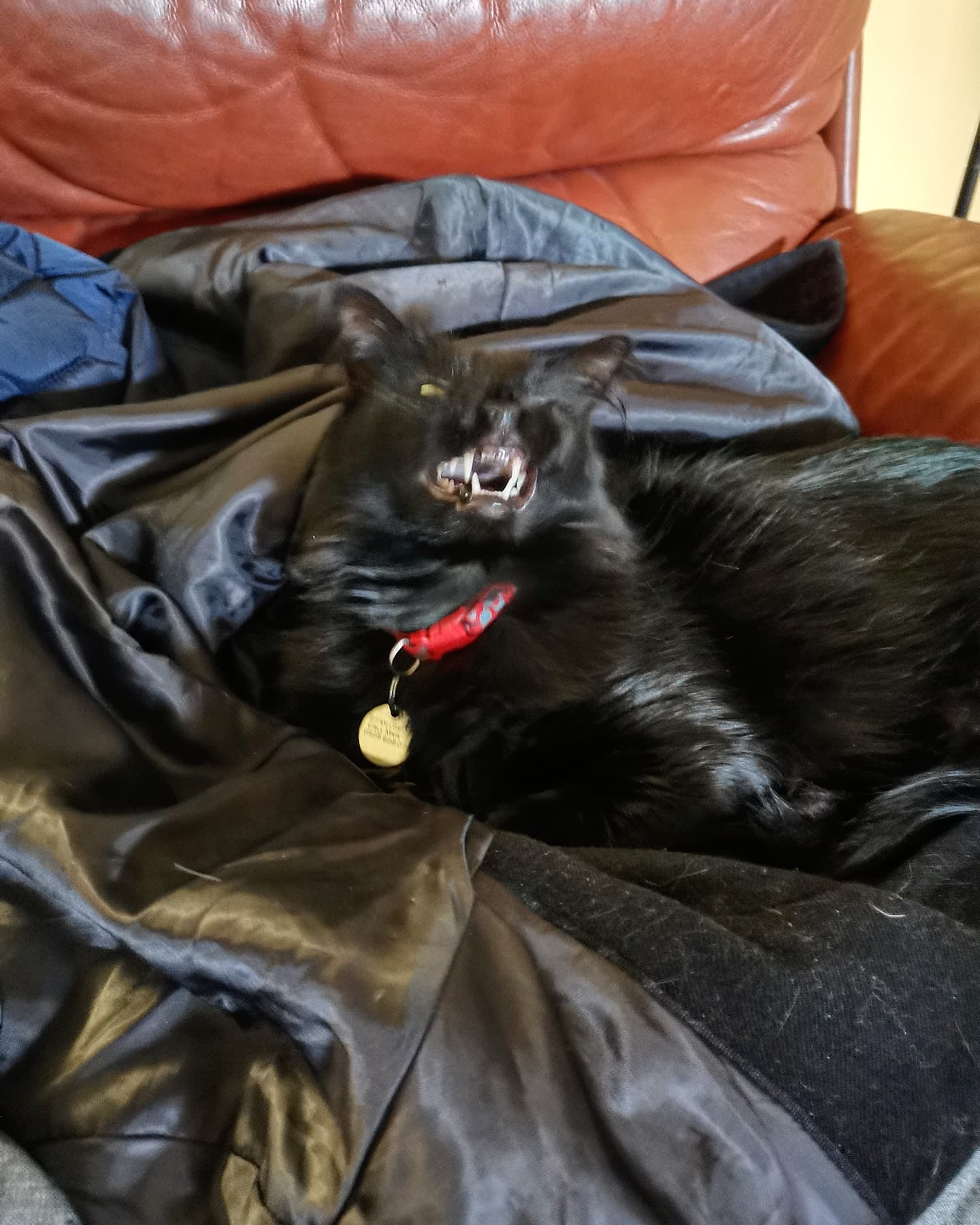 [OC] The Void Yawns | Scrolller