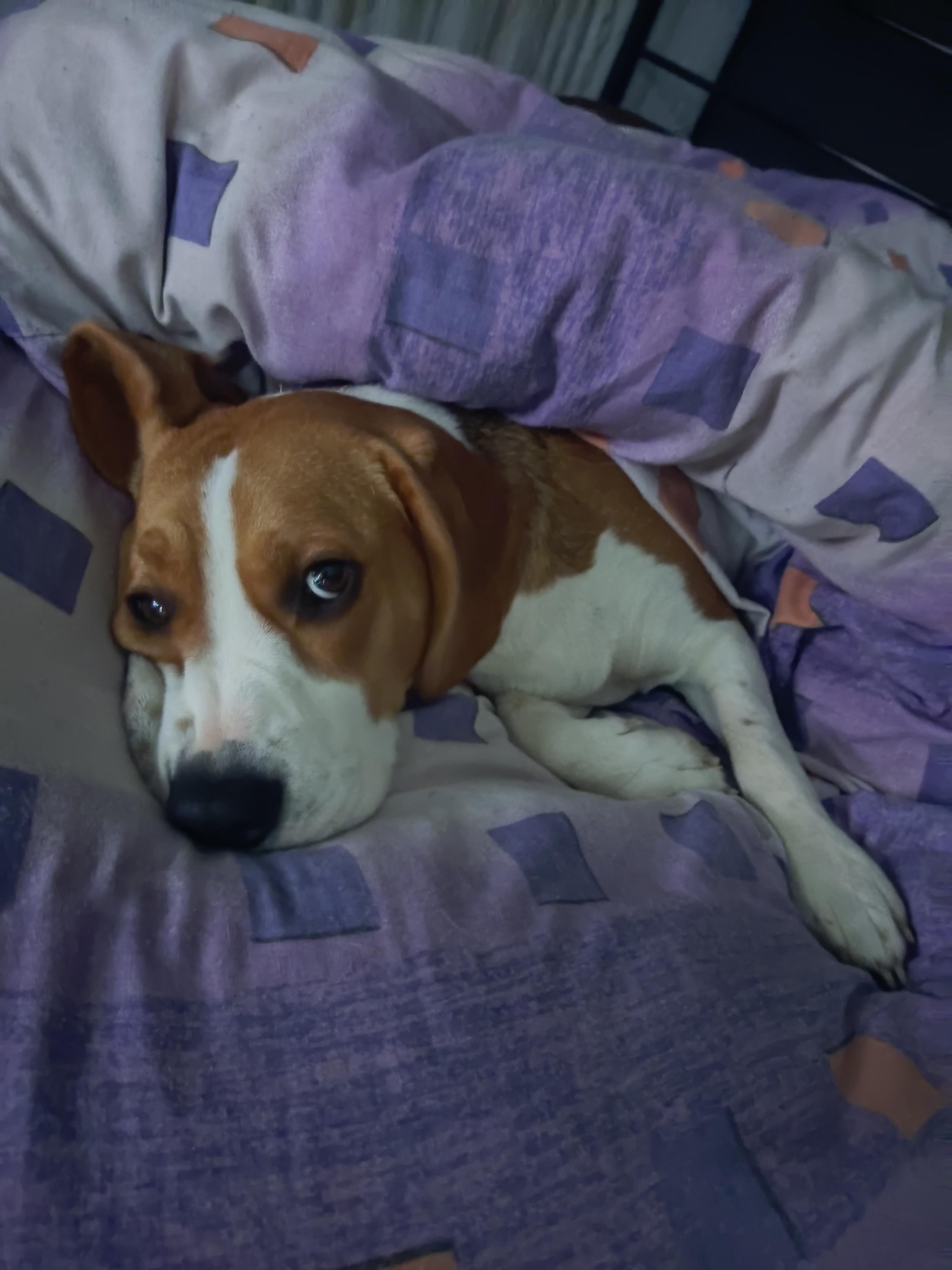 Having a nap | Scrolller