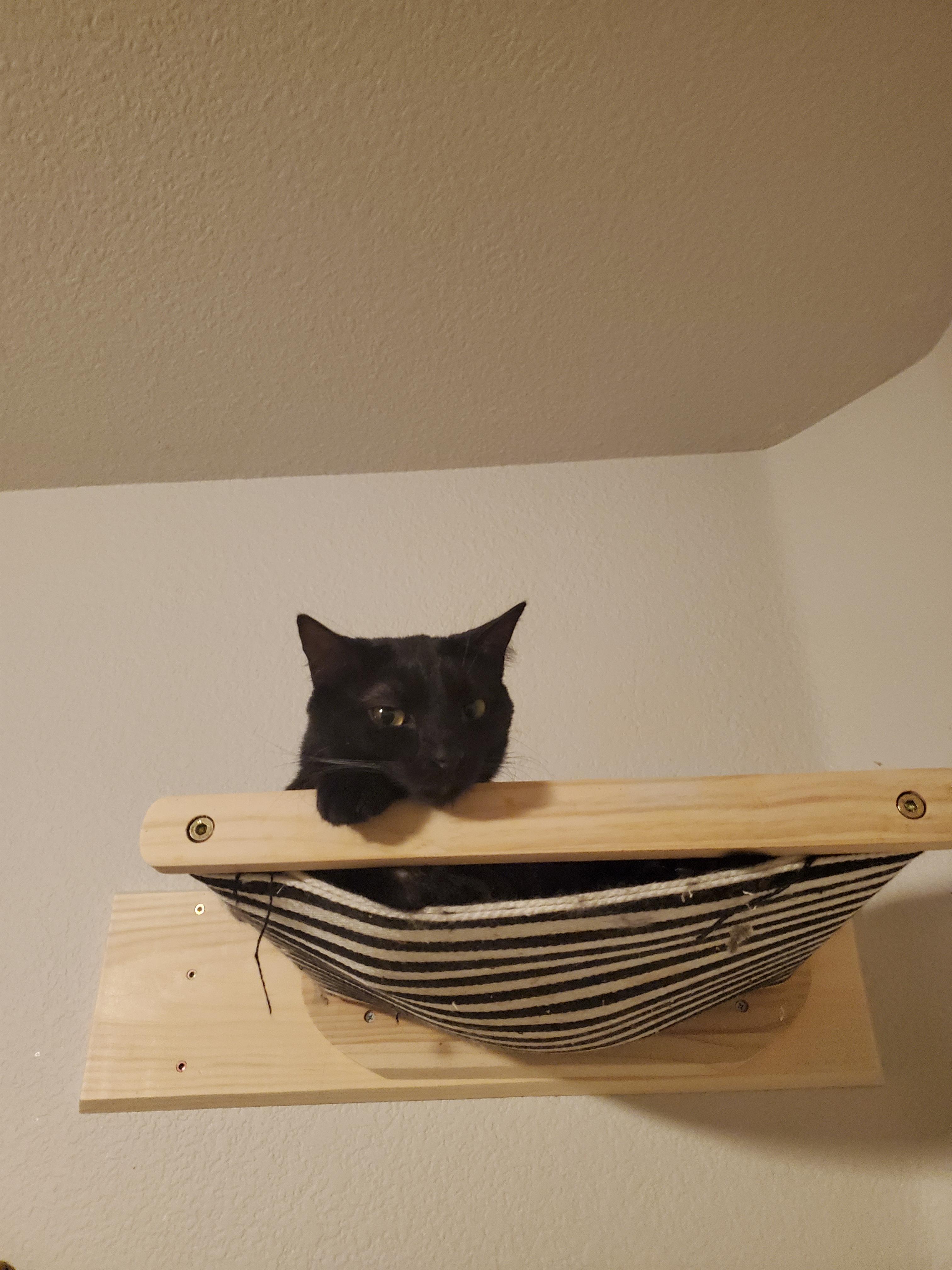 Fun on the wall tower | Scrolller