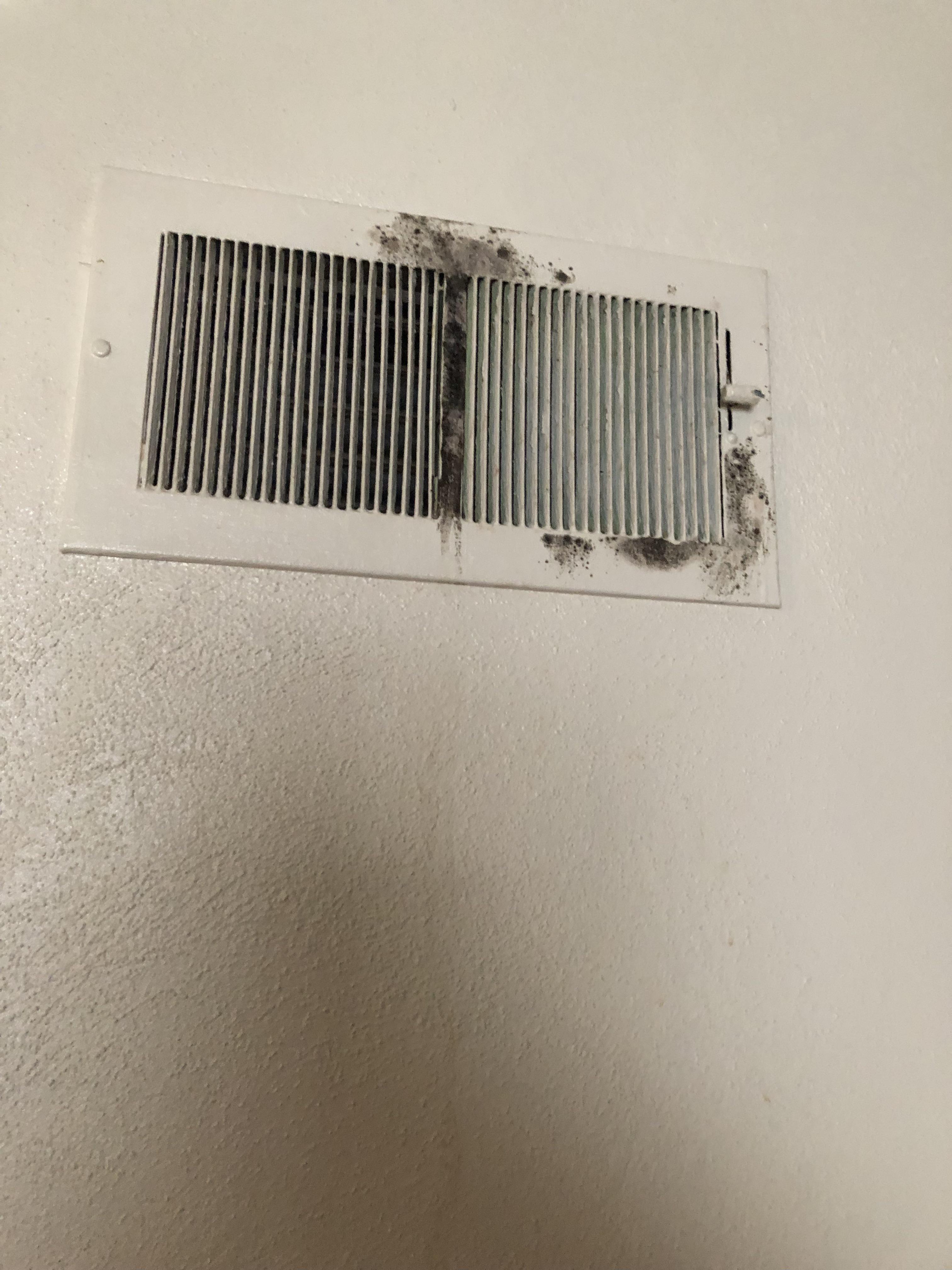 Vent in house? Is this mold? | Scrolller