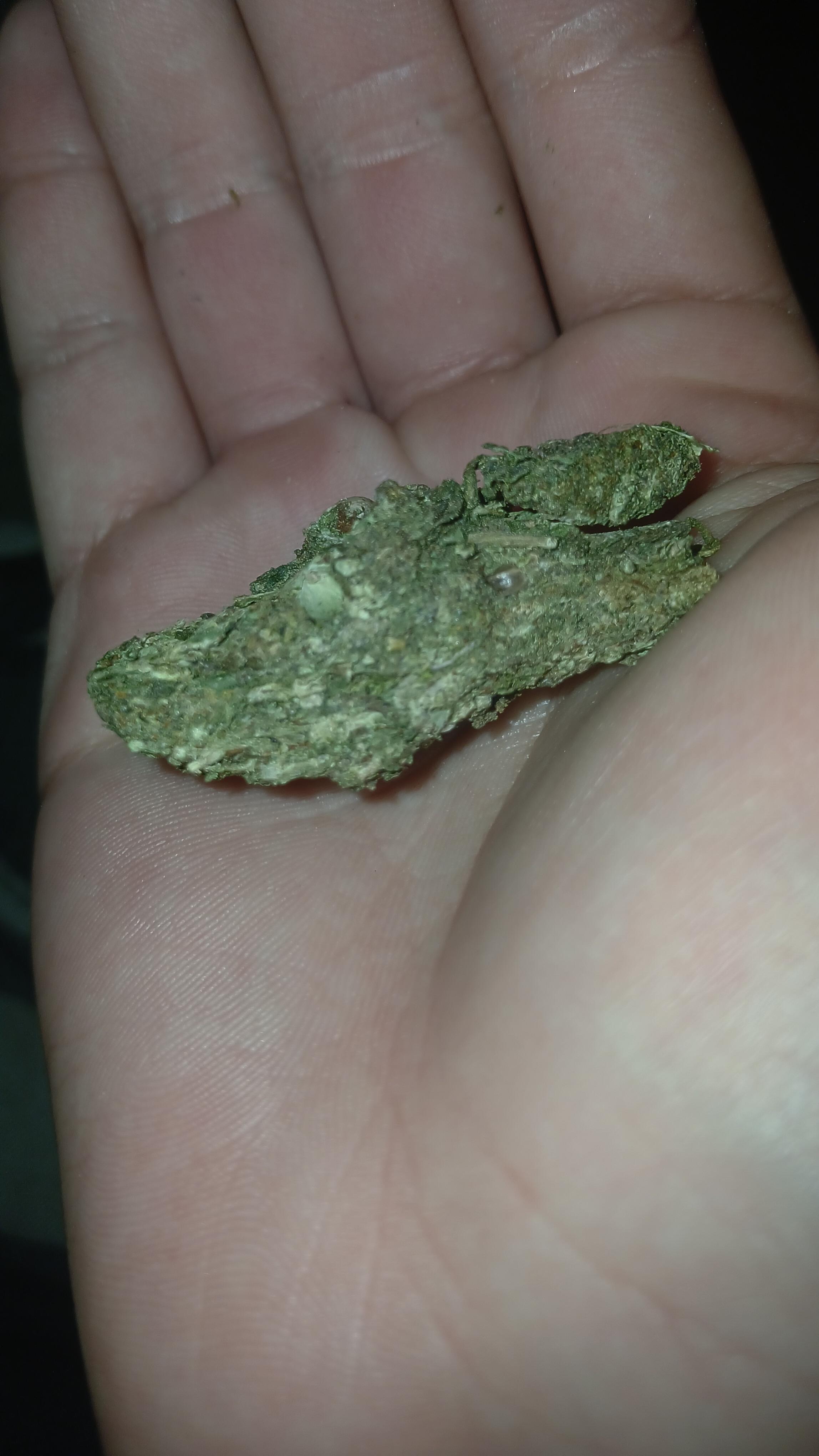 Brazilian brick weed | Scrolller