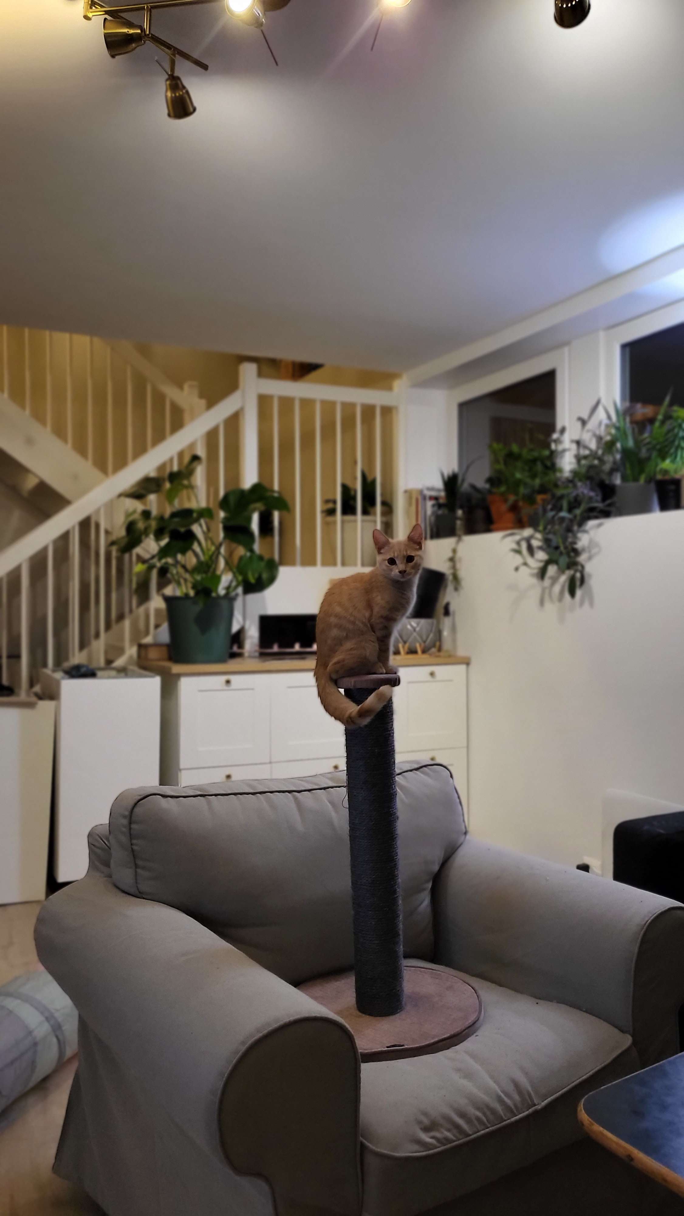 My little acrobat!🌟 | Scrolller