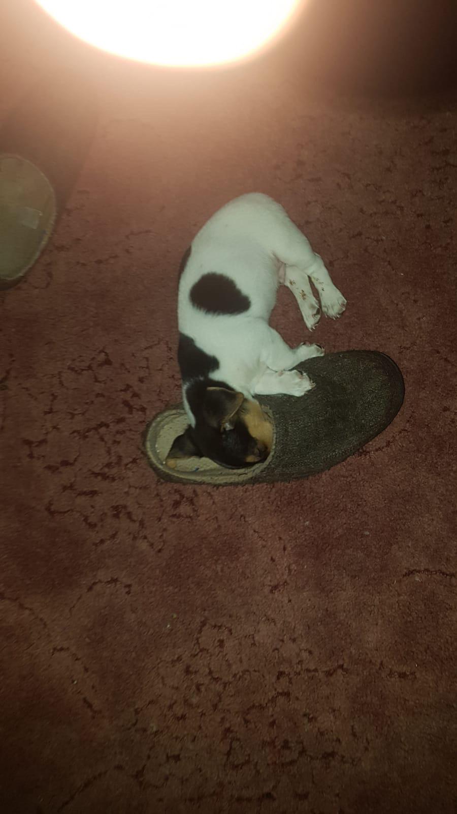 Baby smudge | Scrolller