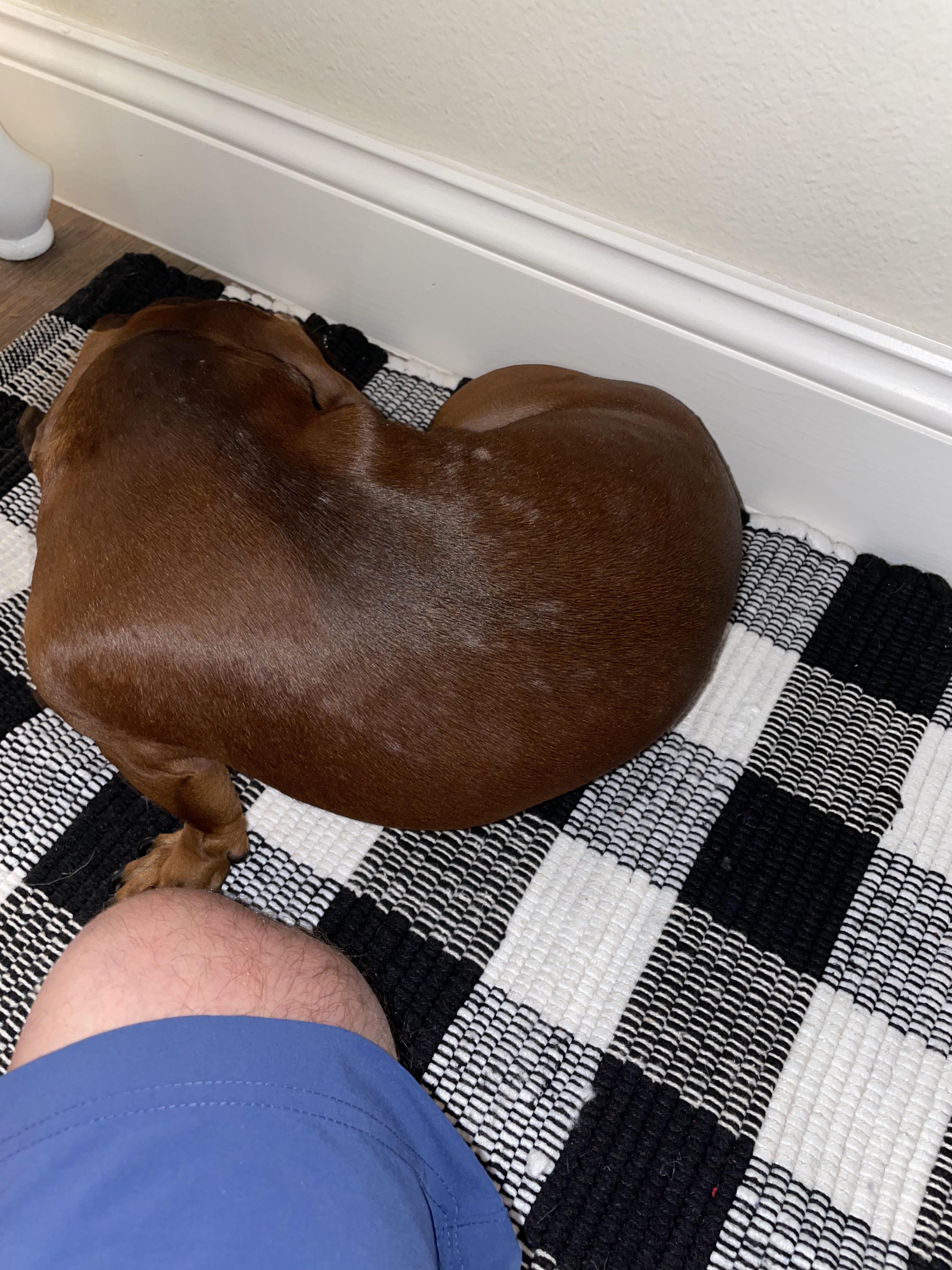 Anyone else’s wiener have this skin issue? | Scrolller