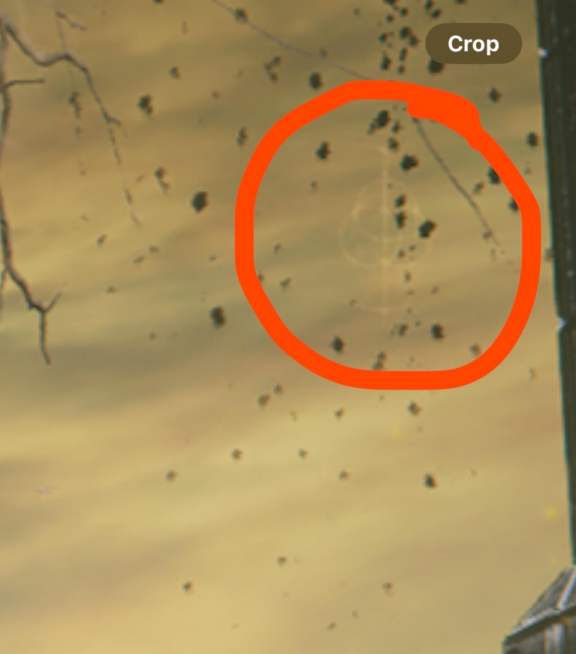 Elden Ring?!? | Scrolller