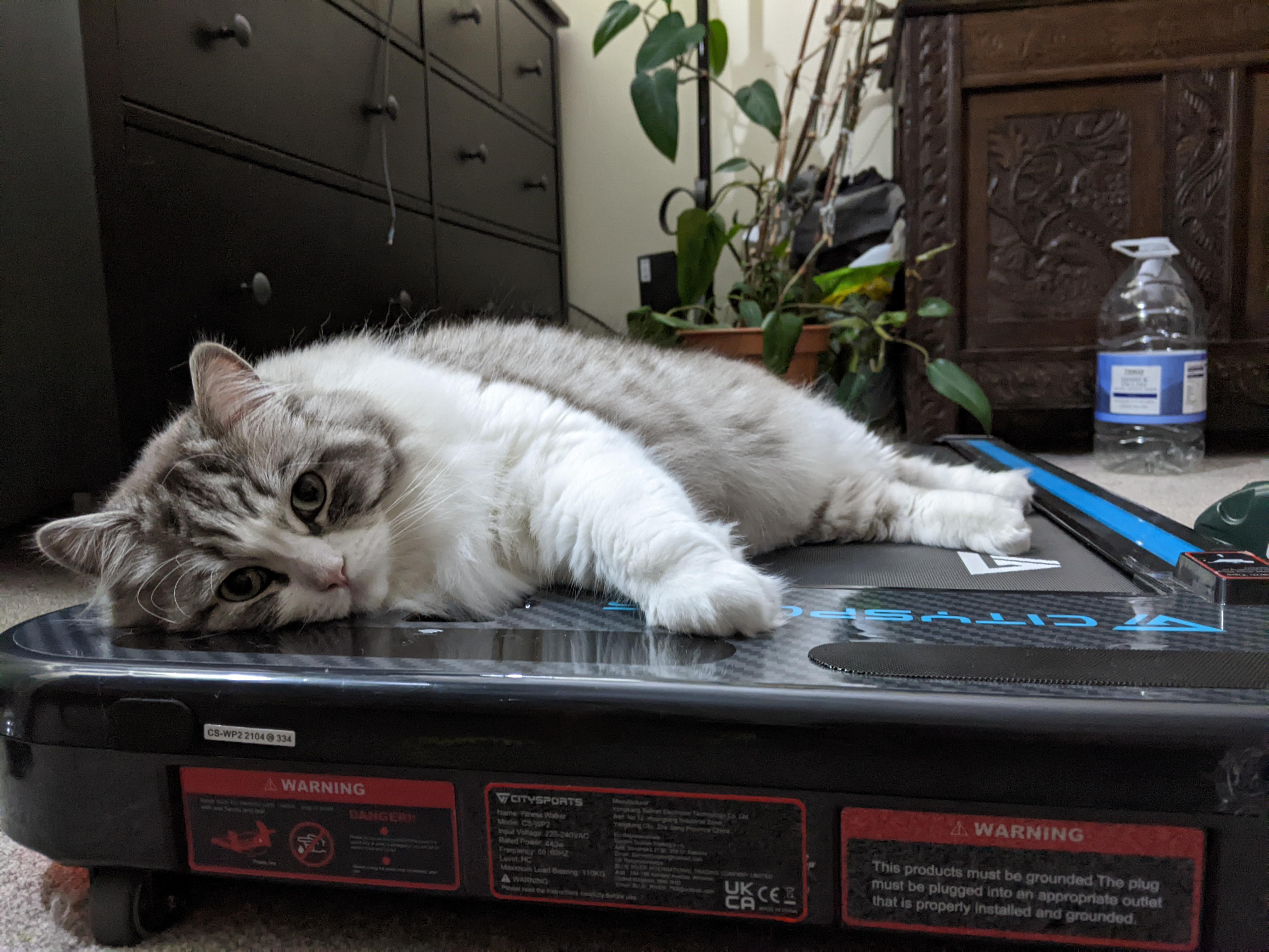 Oc Caption This Scrolller