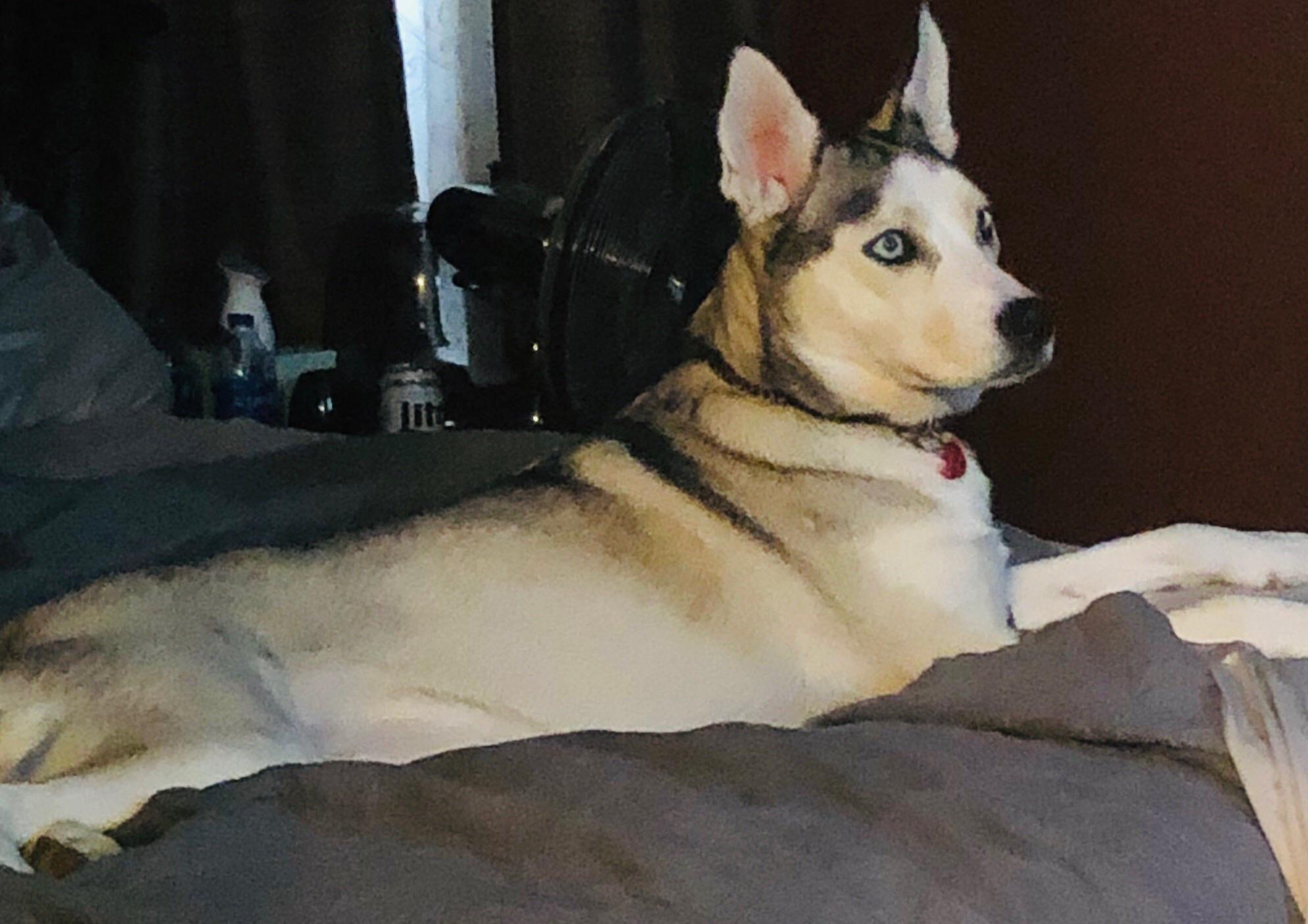 💕Siblings ️ | Scrolller