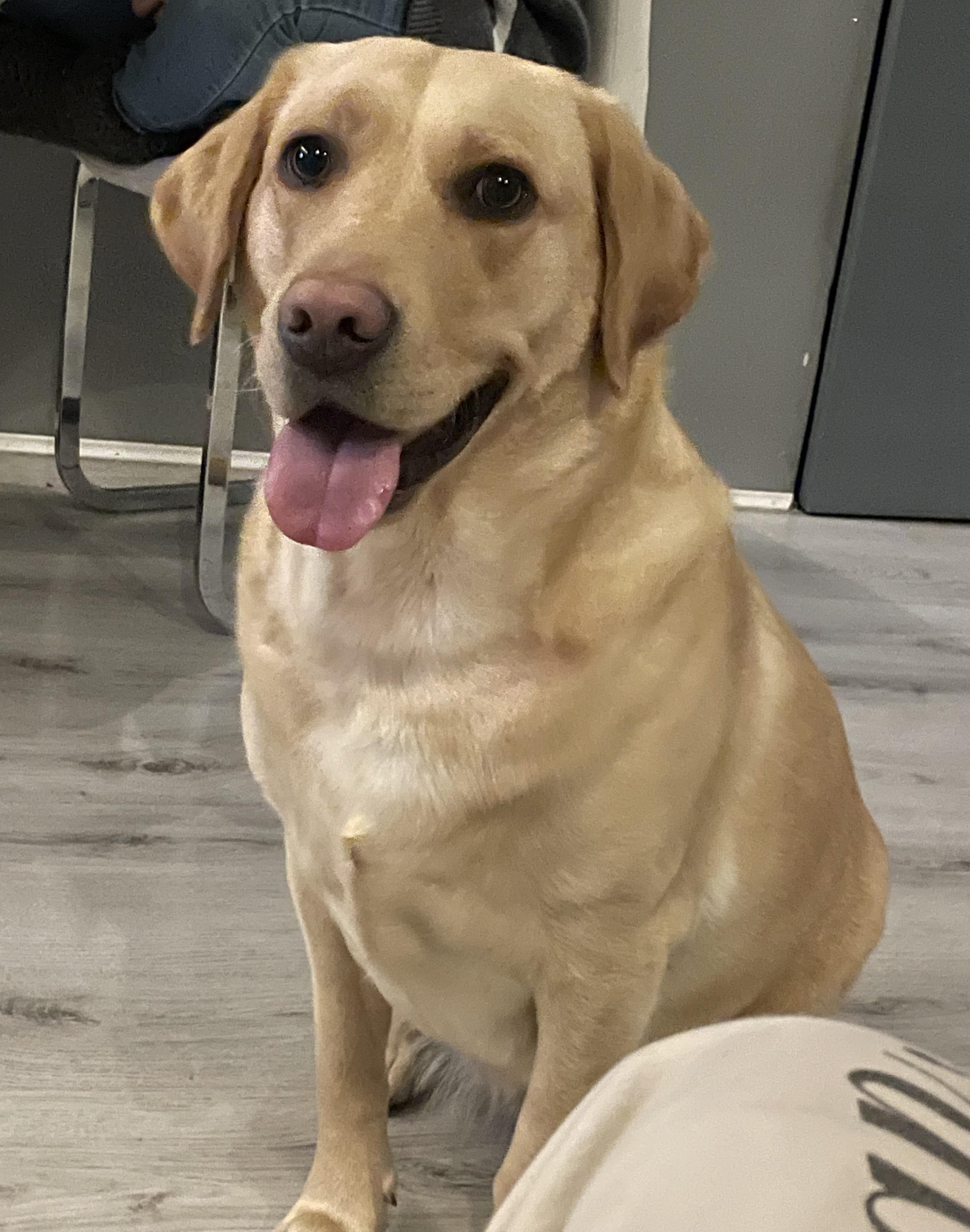 Pics of my Roxy | Scrolller