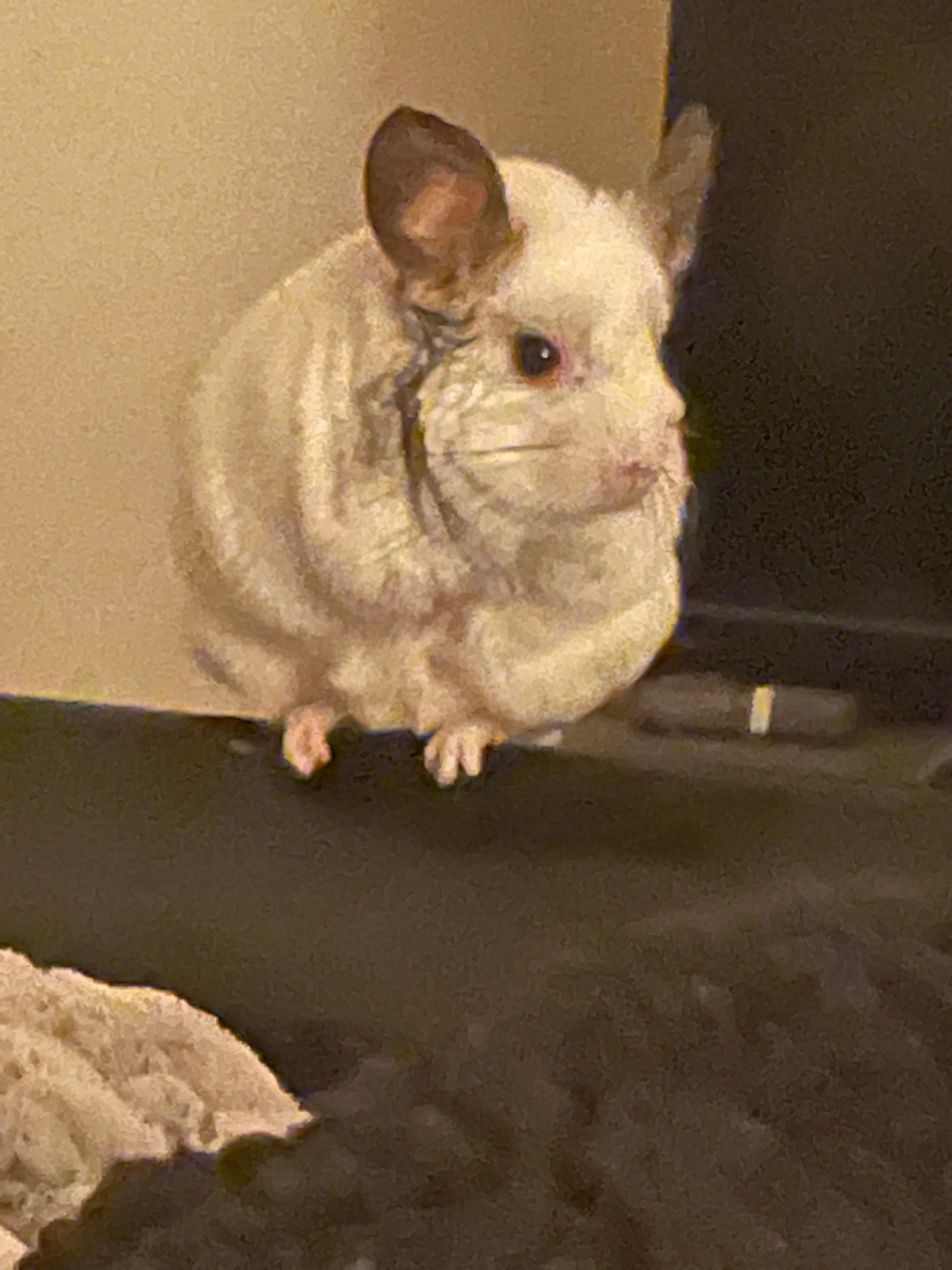 Senior's Transformation | Scrolller