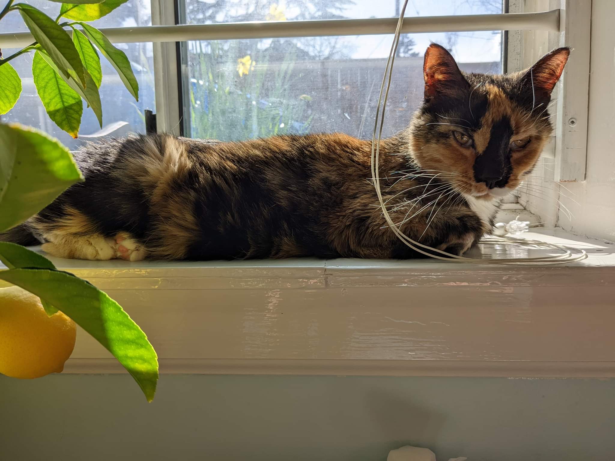 The two beauties | Scrolller