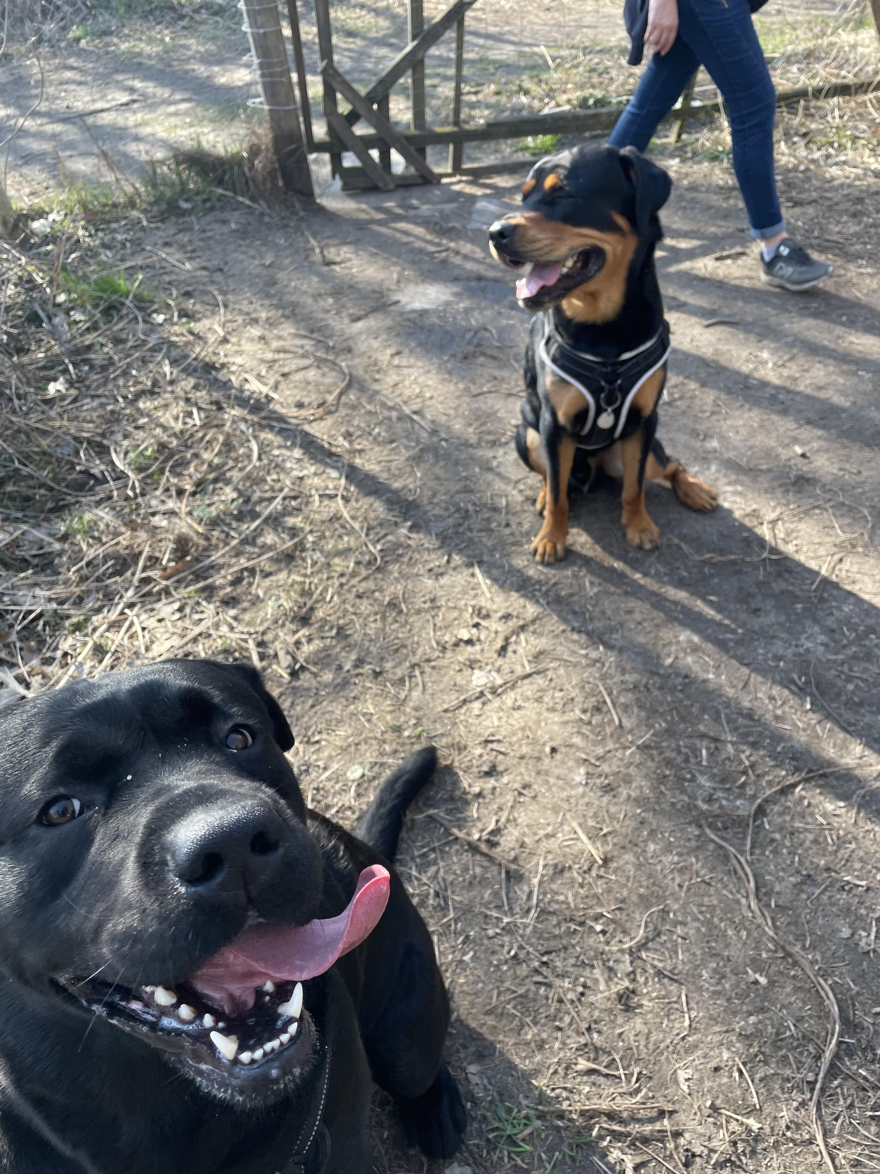 [OC] sometimes in sync, sometimes not but these guys will drop their new album soon. | Scrolller